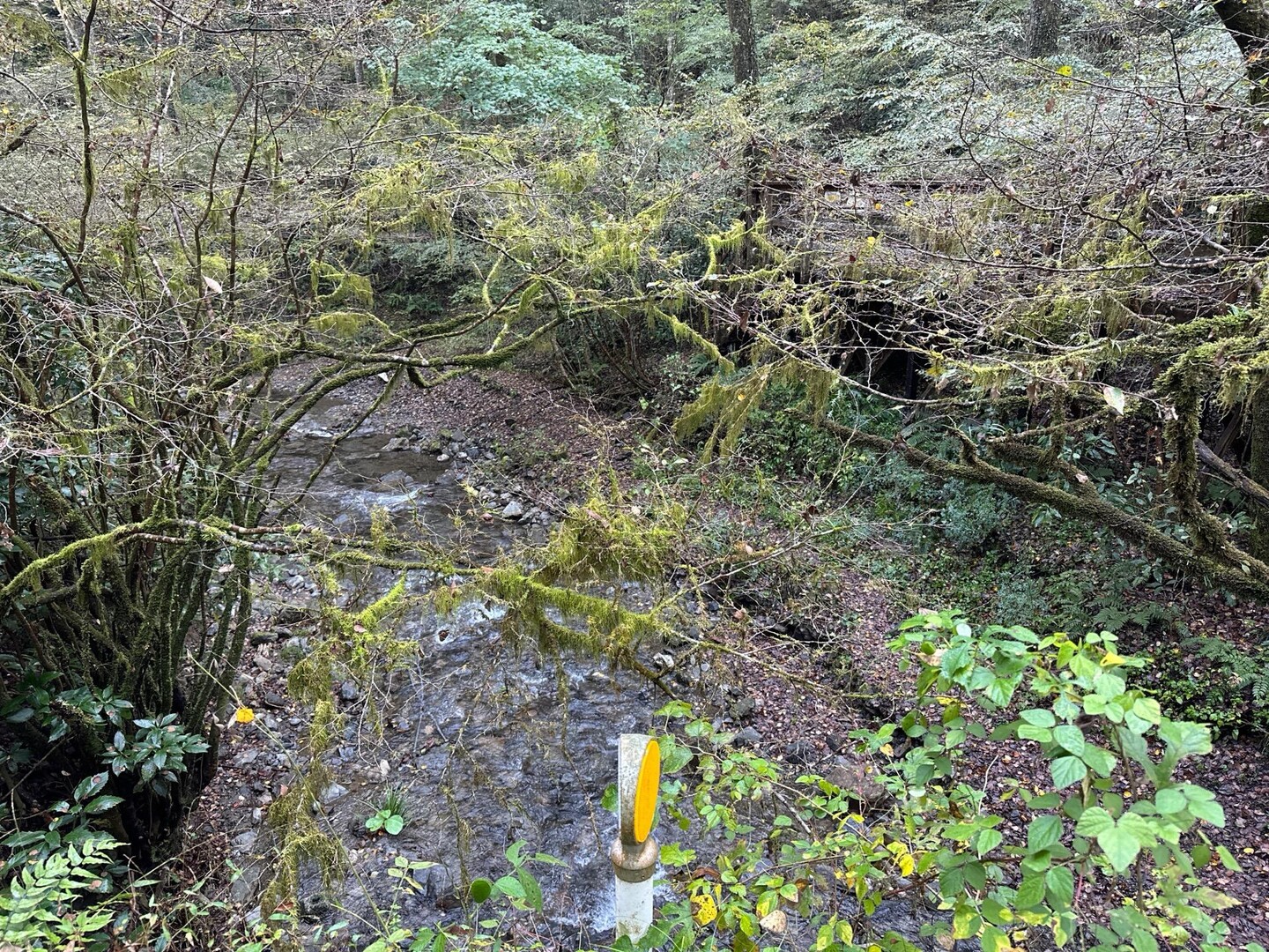 よっしーさんの投稿したフィールドメモ | YAMAP / ヤマップ