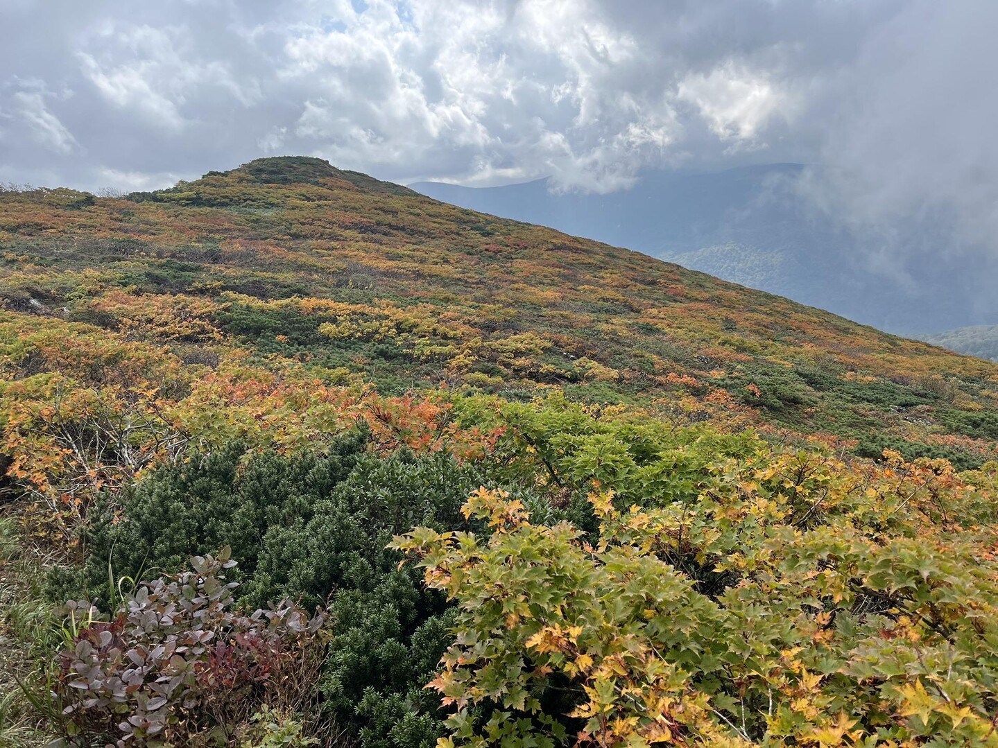 三ツ石馬蹄縦走制覇😃 / a&jmさんの三ッ石山・大深岳・諸桧岳の活動データ | YAMAP / ヤマップ