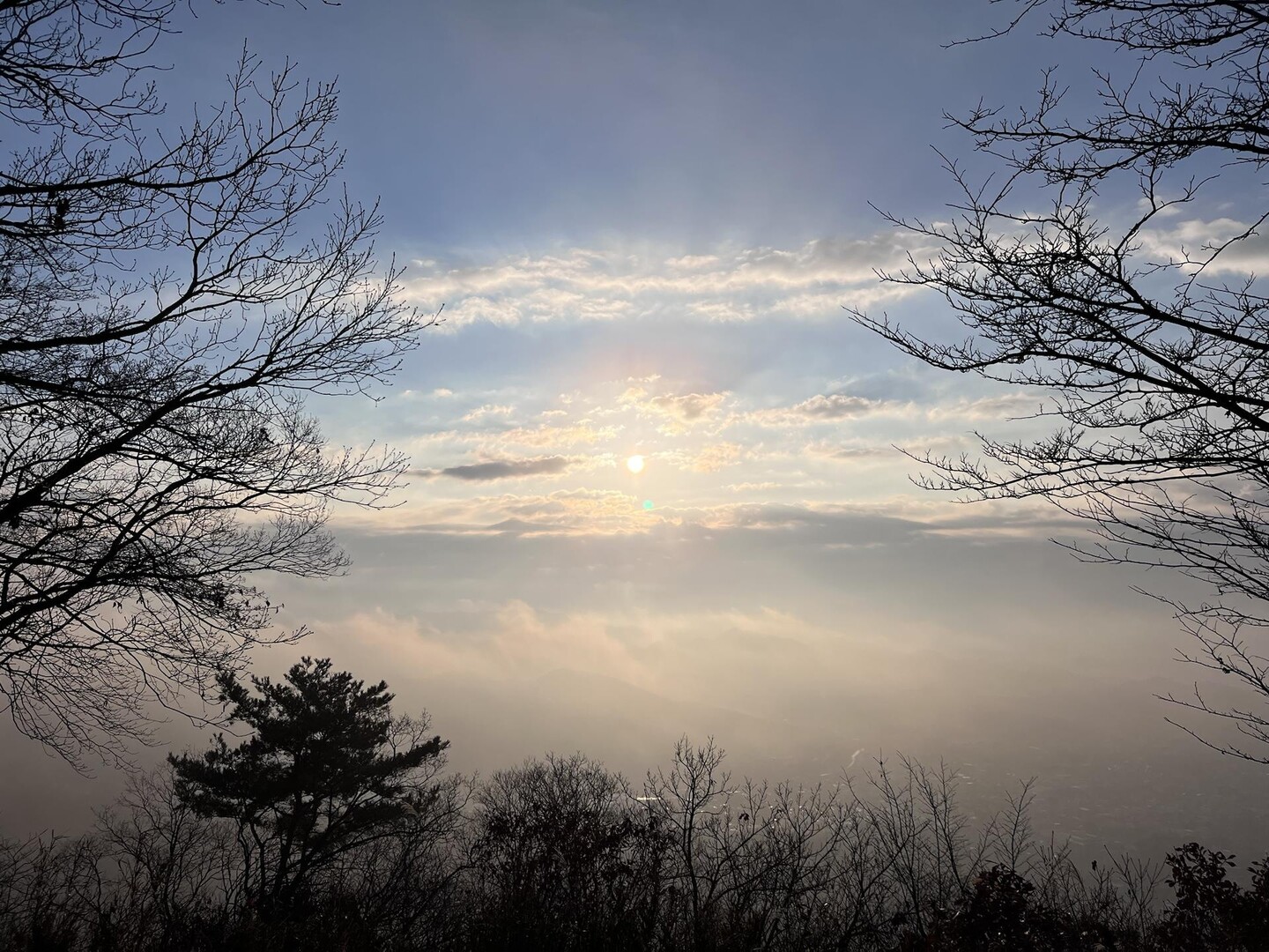 吾妻山から神戸まで / kimiさんの鳴神山・吾妻山の活動データ | YAMAP / ヤマップ