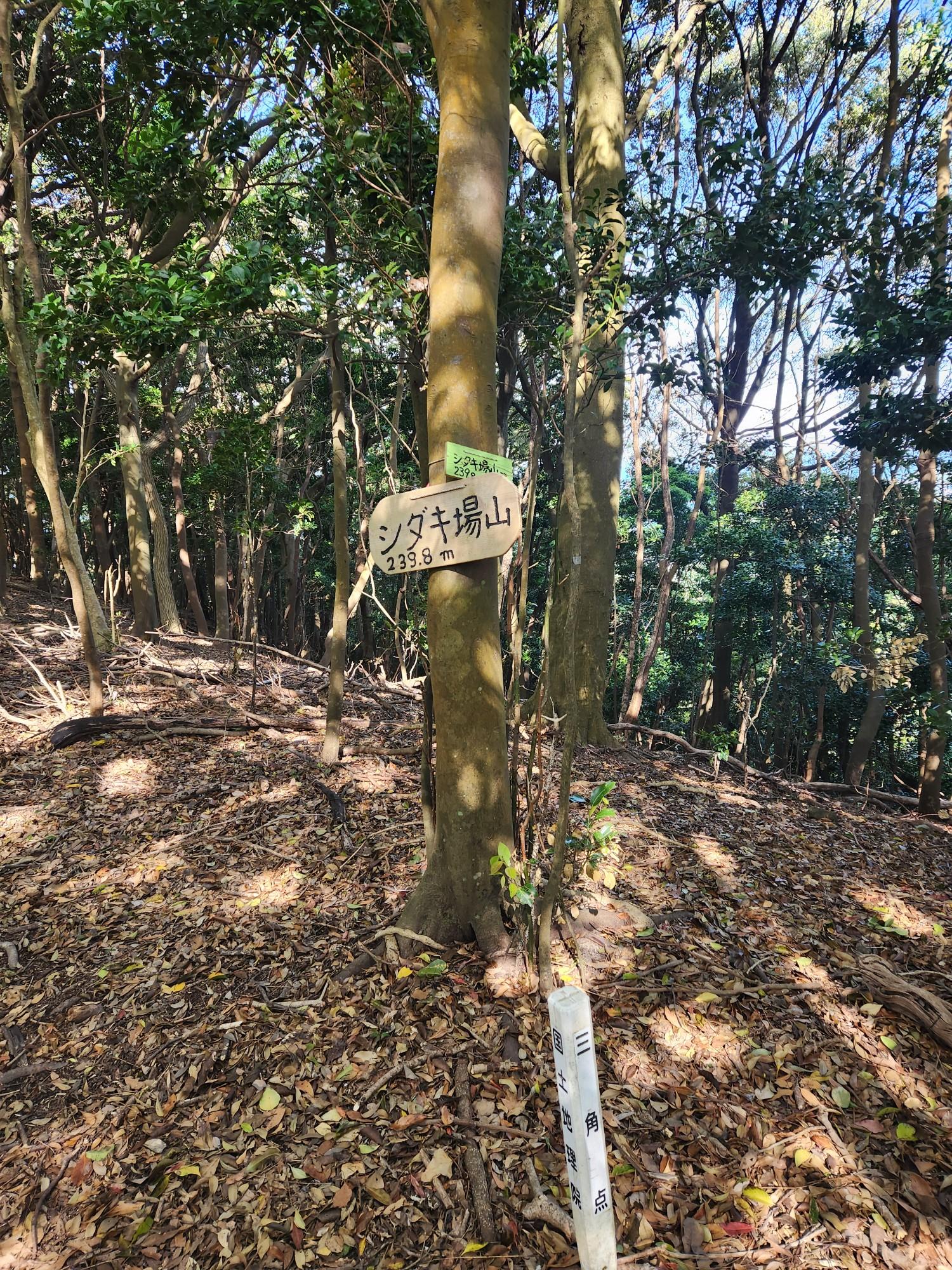 シタキ場山・雌鋤先山・鋤先山・竜王山 / chie-valleyさんの竜王山・鋤尖山・鬼ヶ城の活動データ | YAMAP / ヤマップ