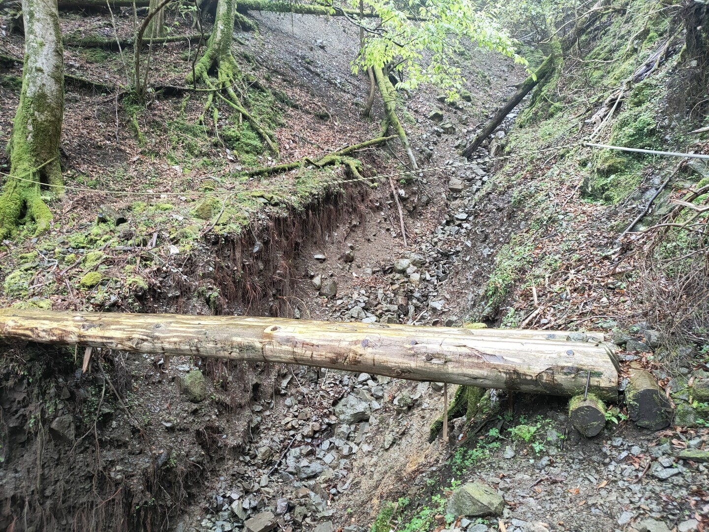 Mamincoさんの投稿したフィールドメモ | YAMAP / ヤマップ