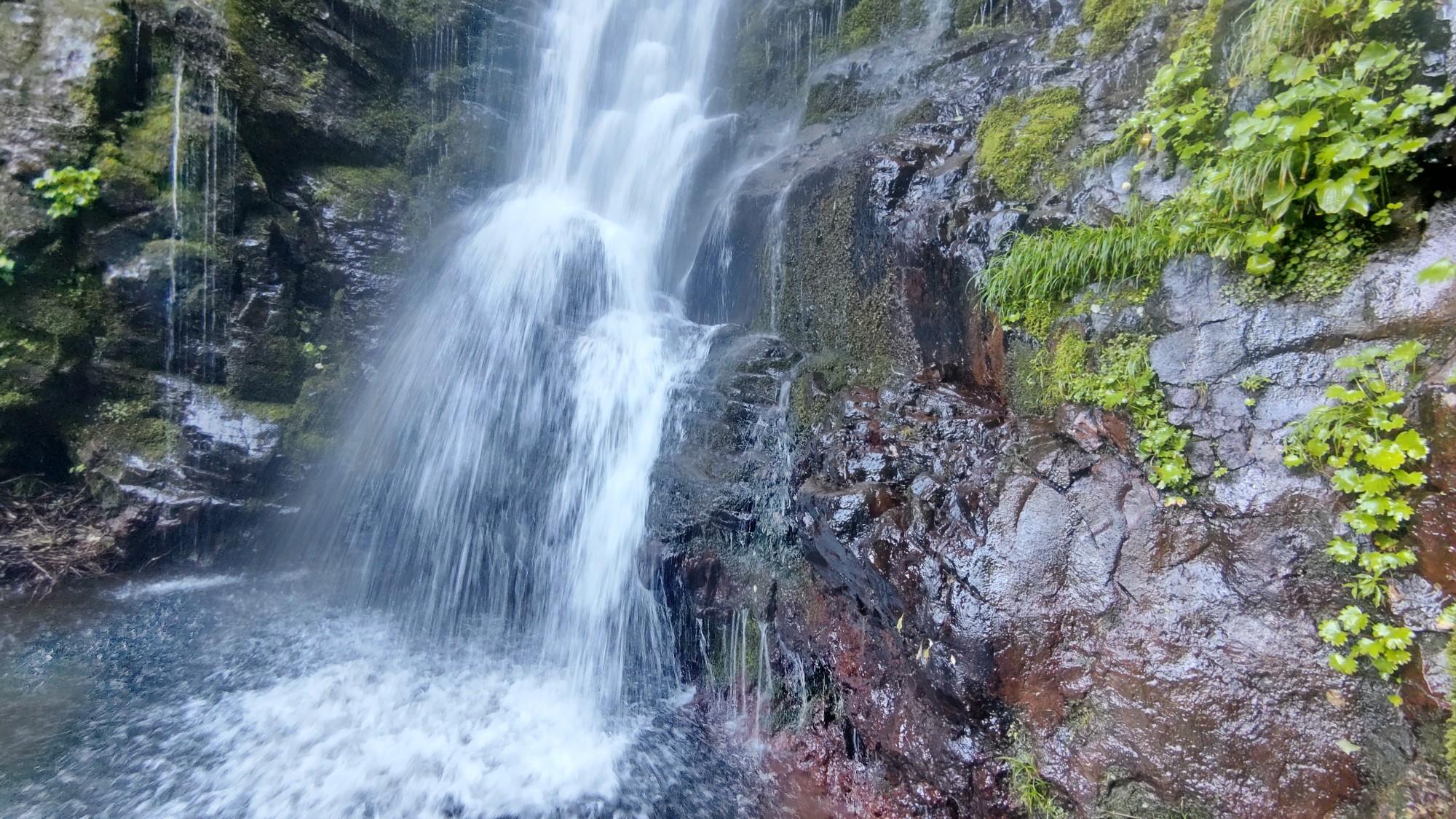 61 取立山 https://tabib... / てんぐのこさんのモーメント | YAMAP / ヤマップ