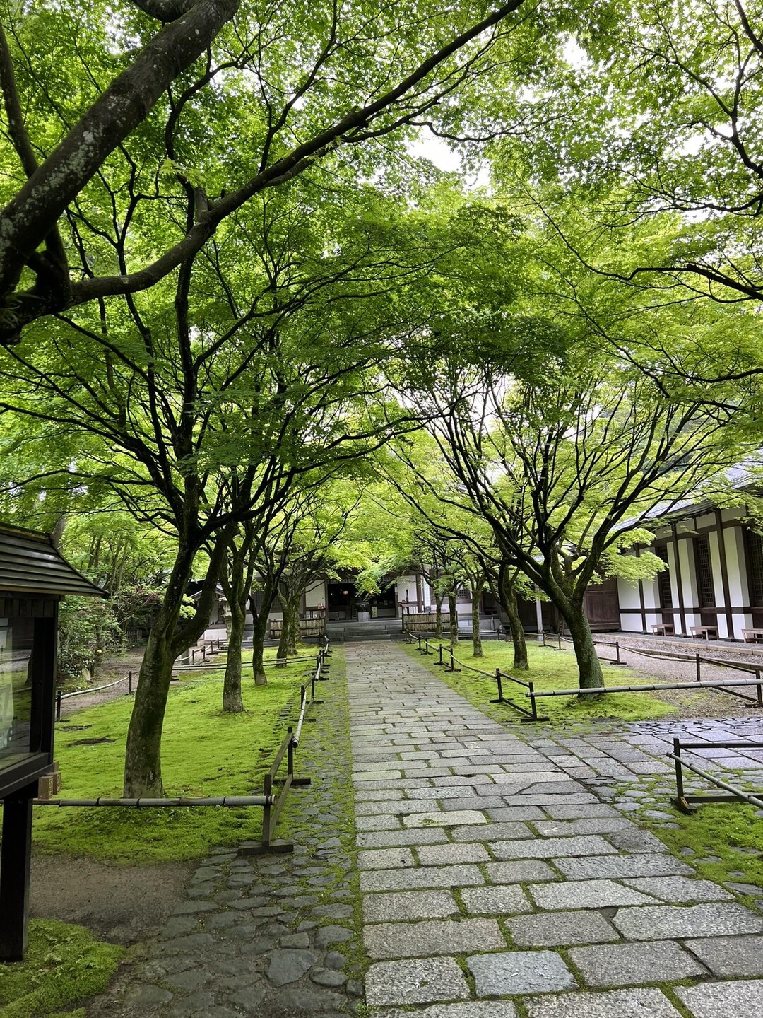 篠栗四国八十八箇所 3周目① / mimさんの篠栗四国八十八箇所の活動データ | YAMAP / ヤマップ