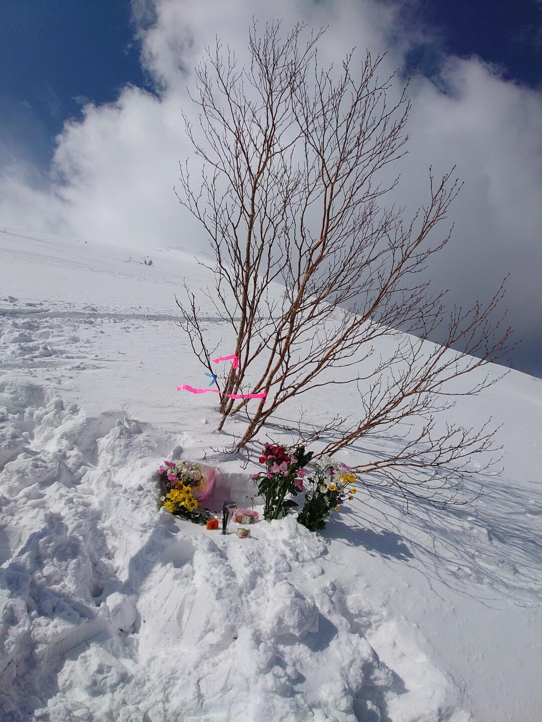 昨日の事 岩手山、焼走り噴出口の上へ あ... / R.Chibaさんのモーメント | YAMAP / ヤマップ