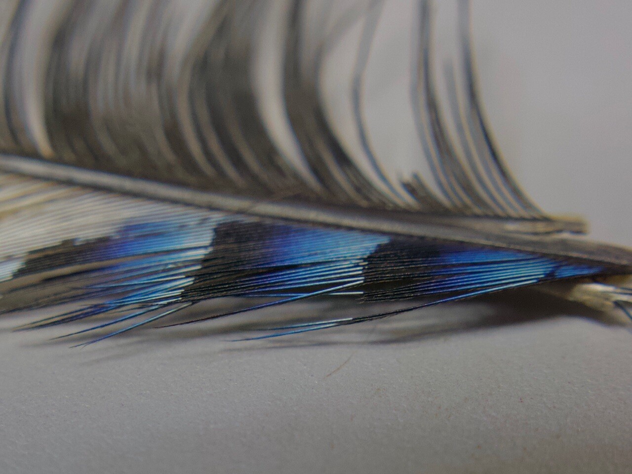 koko-yamaのページ | YAMAP / ヤマップ