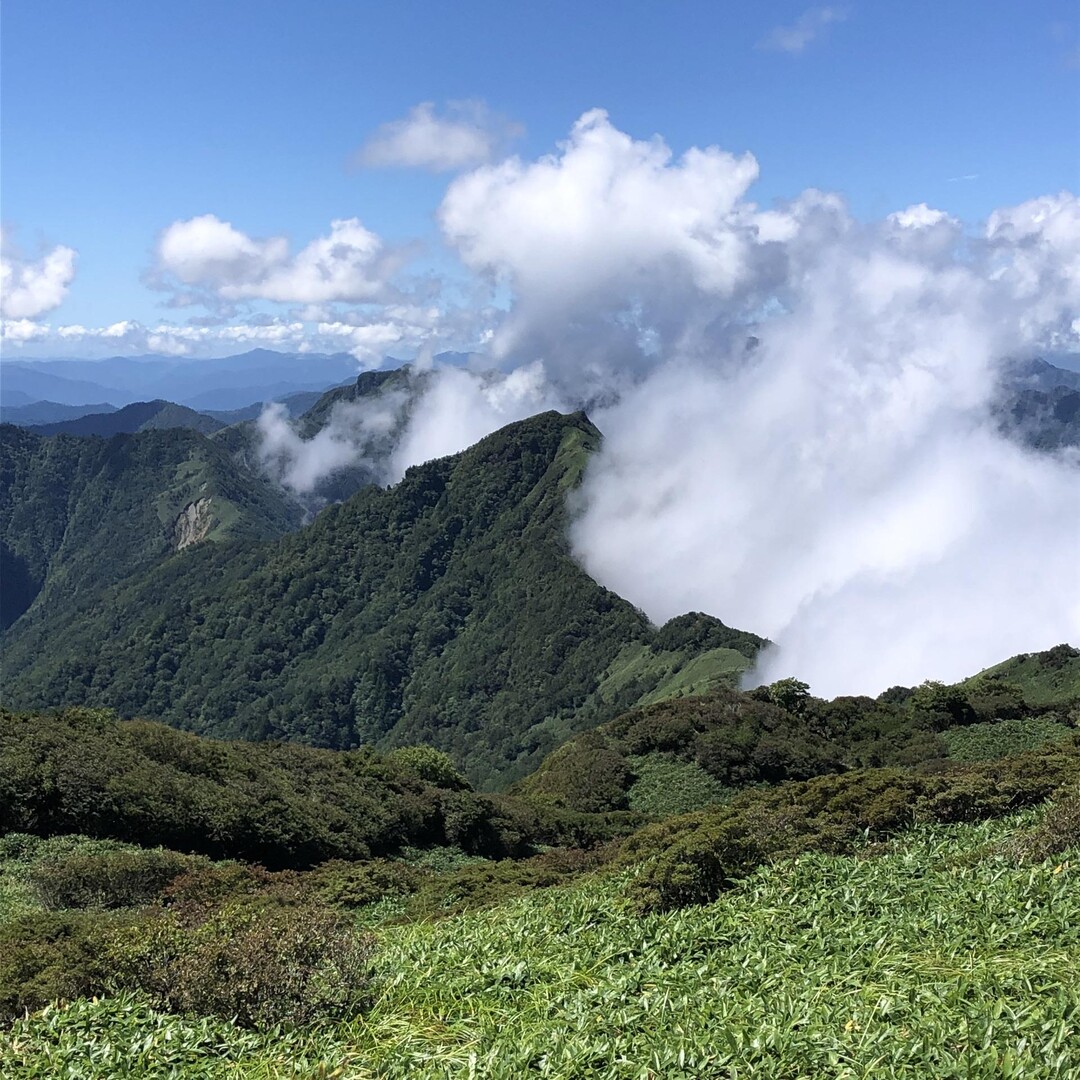 笹ヶ峰とちち山 / 883XLerさんの笹ヶ峰・寒風山・平家平の活動データ | YAMAP / ヤマップ