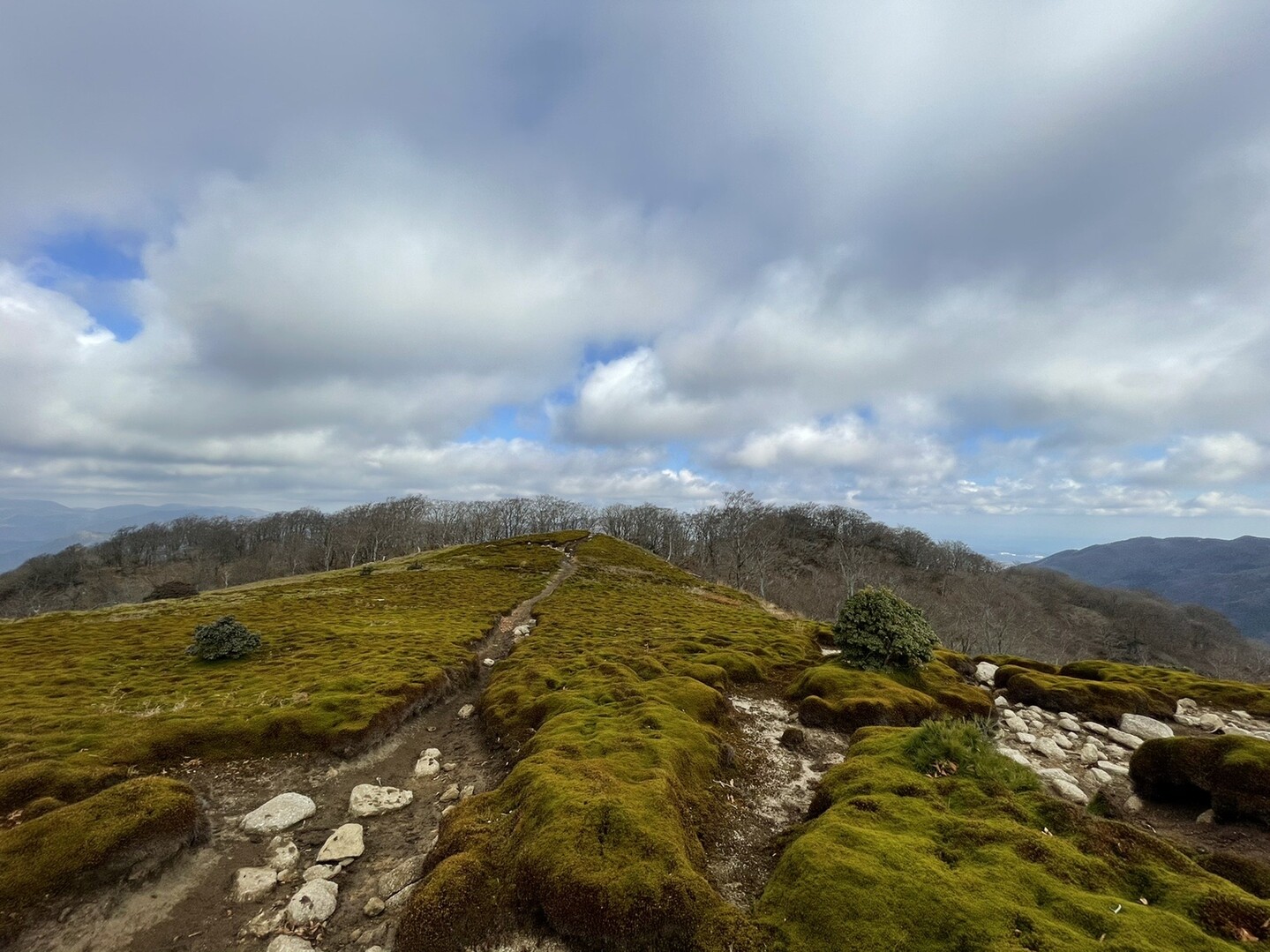 七人山・東雨乞岳・雨乞岳・杉峠ノ頭・イブネ・クラシ・御在所岳 / shunさんの御在所岳（御在所山）・雨乞岳の活動日記 | YAMAP / ヤマップ