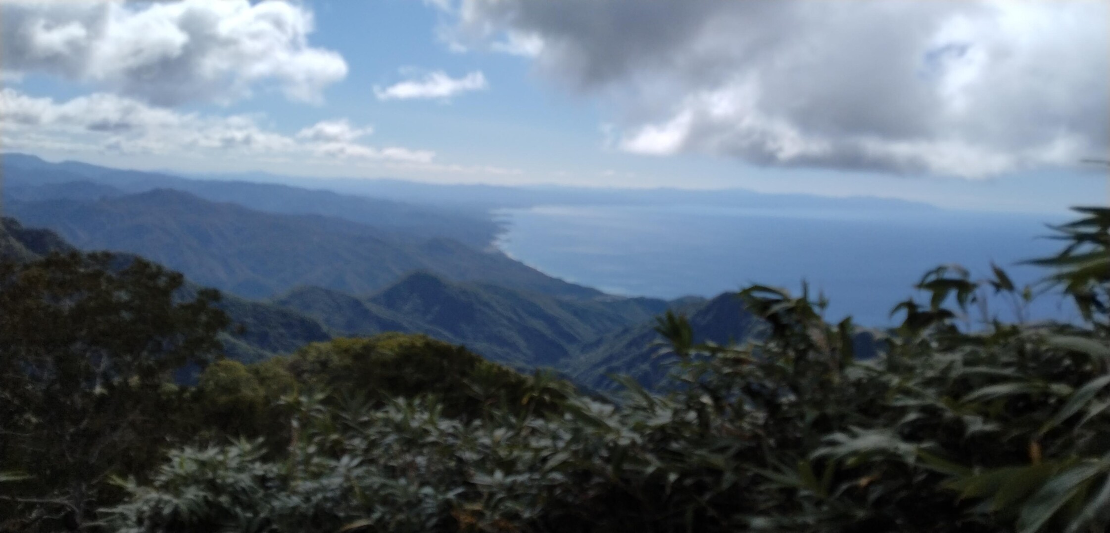 白泉岳 登山道整備⑤R5.9.24 / nishiyanさんのヤンカ山・白水岳・冷水岳の活動データ | YAMAP / ヤマップ