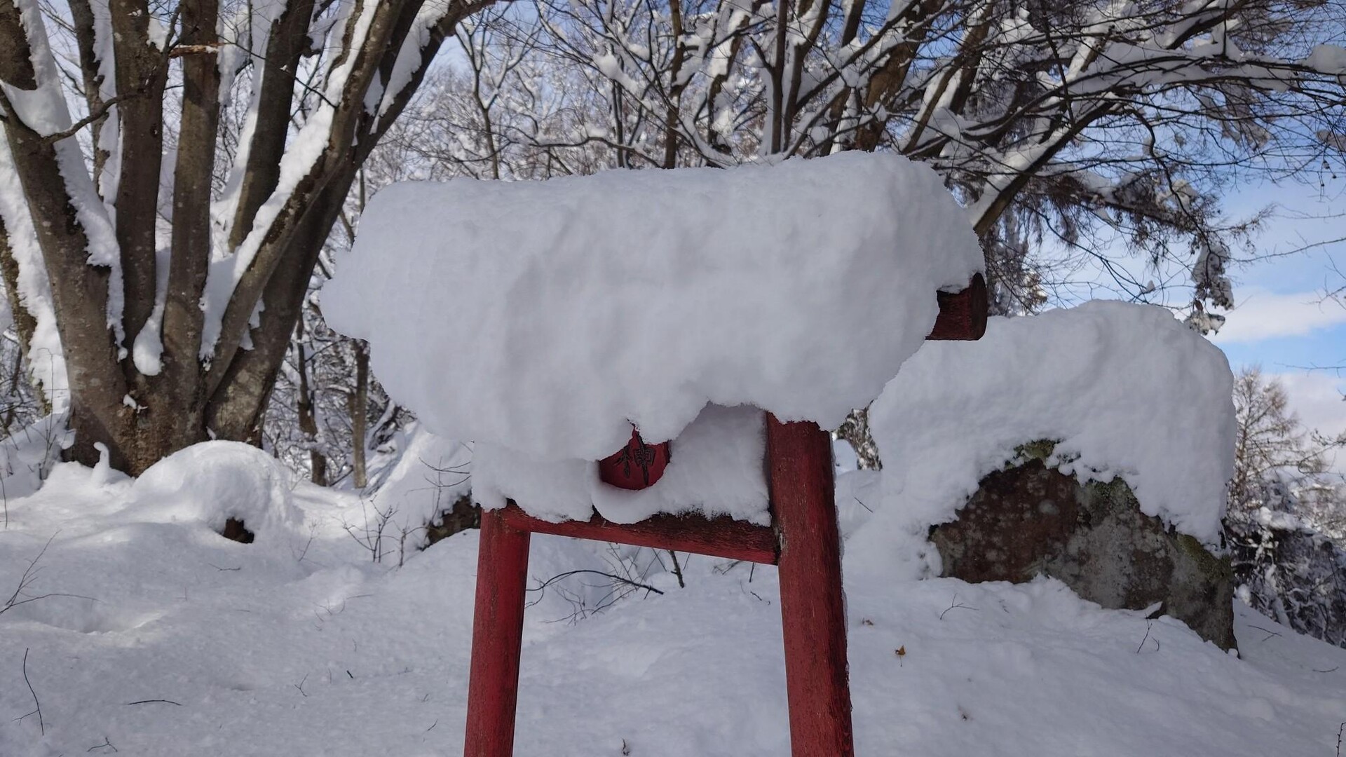 鴨ヶ嶽 / yone993さんの鴨ヶ嶽・箱山の活動データ | YAMAP / ヤマップ