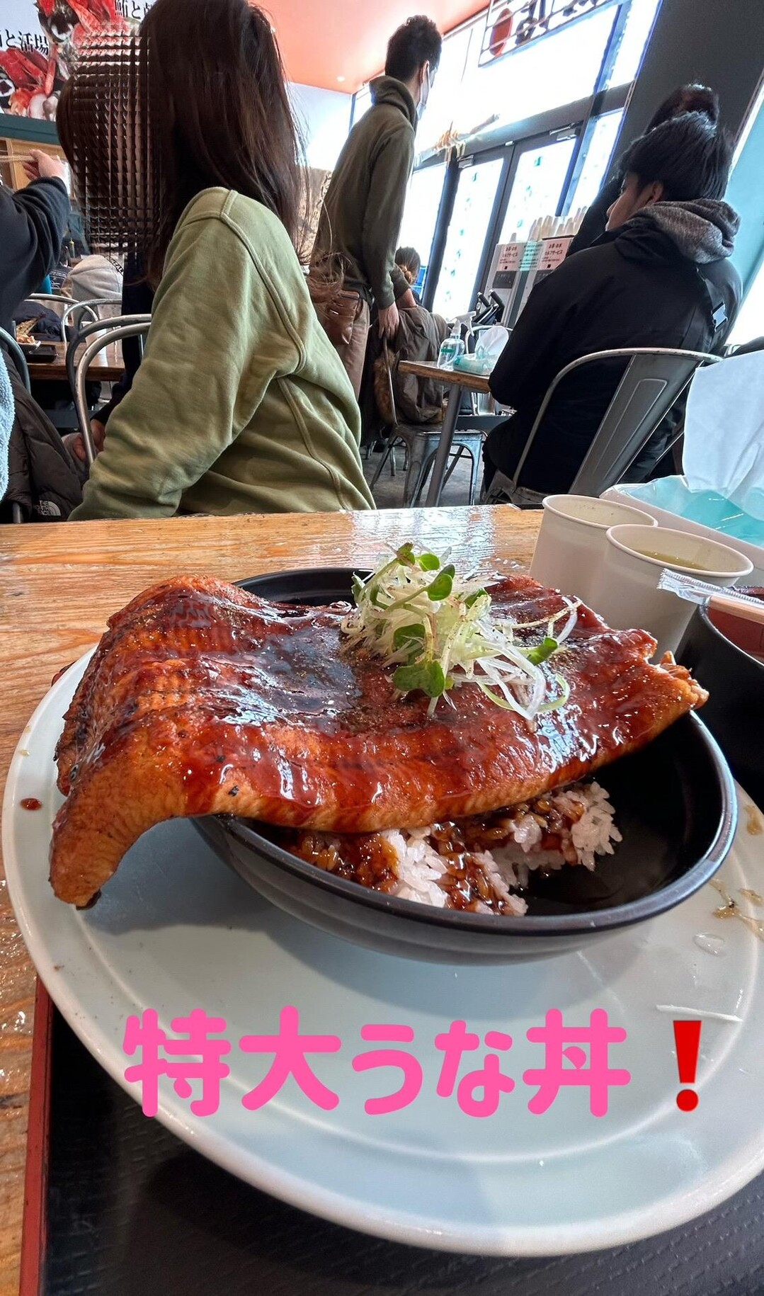 今日は、お山に行く予定が決まっていたのに... / minirollさんのモーメント | YAMAP / ヤマップ