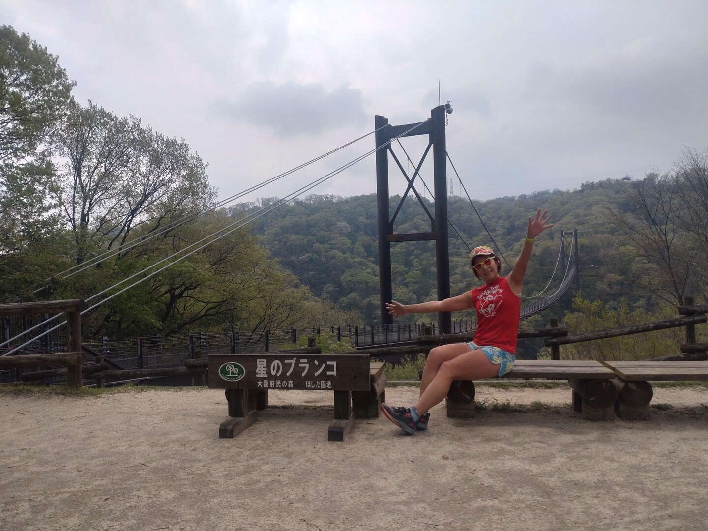 私市〜飯盛へユルッとソロRun / meguさんの交野山・国見山の活動データ | YAMAP / ヤマップ