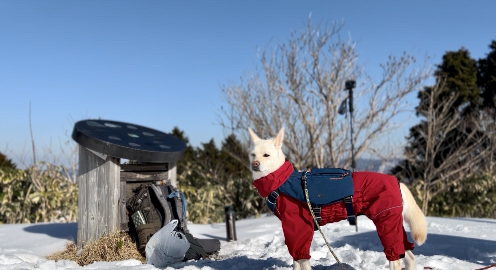 愛犬こまりと行く星山 / HIGE（SOU）さんの櫃ヶ山・星山の活動データ | YAMAP / ヤマップ