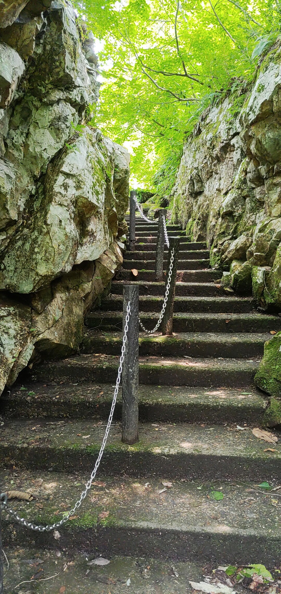 2024.12.21(土) 11:30 / akiさんのモーメント | YAMAP / ヤマップ