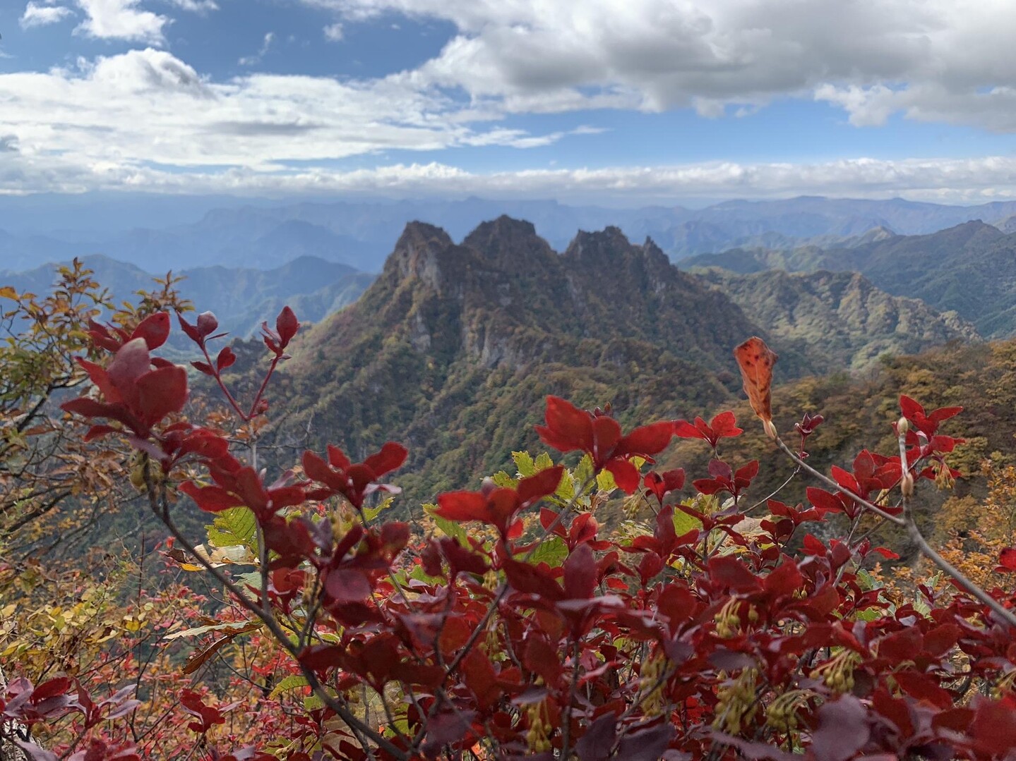 表妙義＊白雲山・妙義山（相馬岳） / miwaさんの妙義山・天狗岳・相馬岳の活動データ | YAMAP / ヤマップ