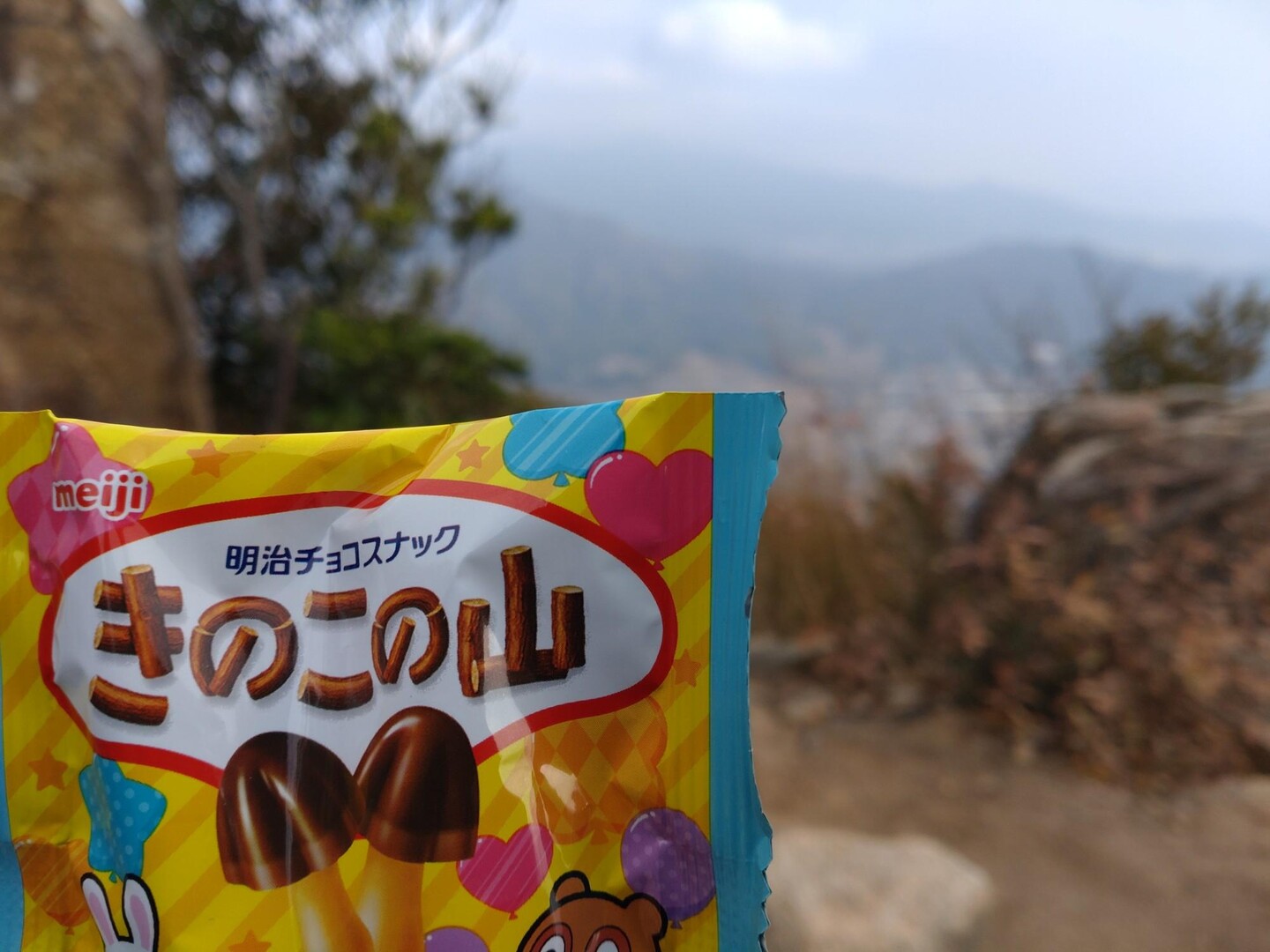 右田ケ岳-2023-12-30 / よっちゃんさんのウォーキングの活動データ | YAMAP / ヤマップ