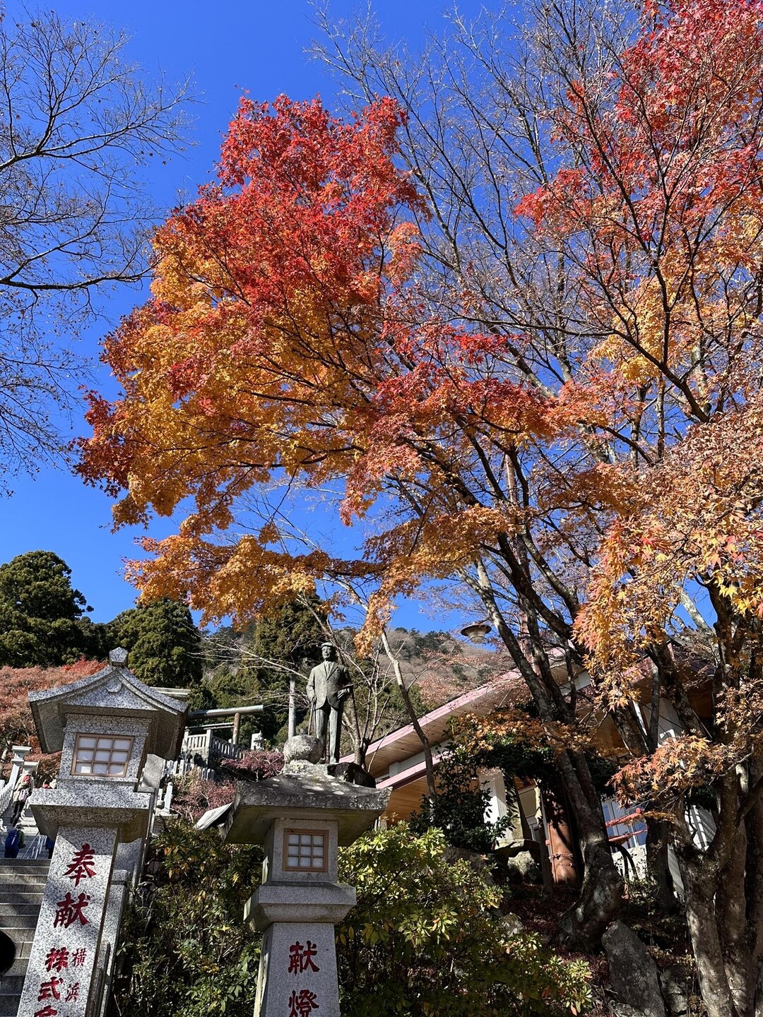 大山 / 塔塔TATさんの大山の活動データ | YAMAP / ヤマップ
