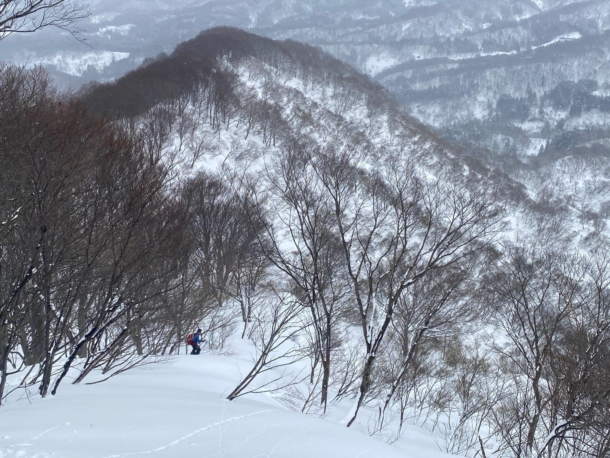 兜巾山( トキンヤマ)☃️積雪期限定 / mtakoさんの米山の活動データ | YAMAP / ヤマップ