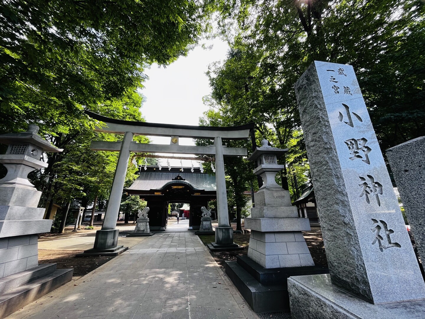 多摩小野神社お参りからの野猿二郎ライド ... / Mijyaさんのモーメント | YAMAP / ヤマップ