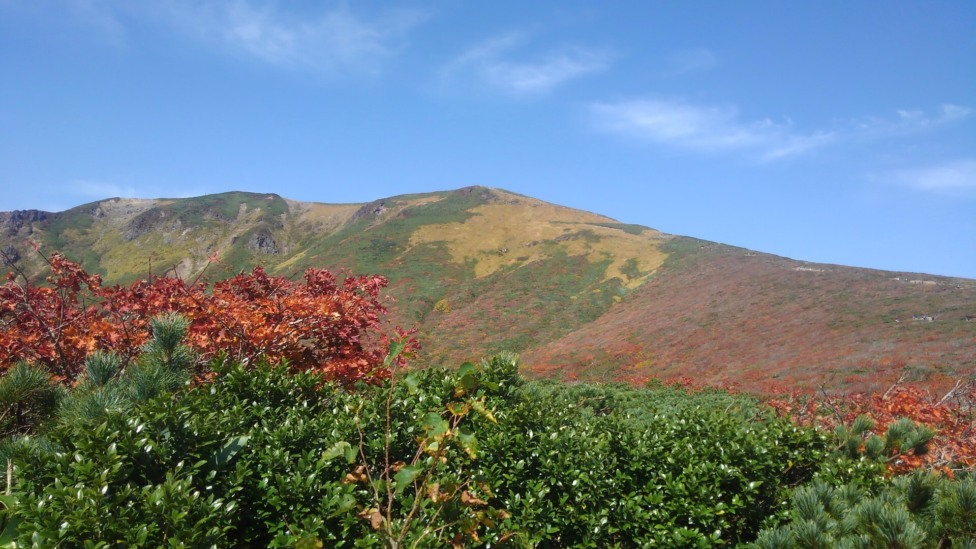 sigeのページ | YAMAP / ヤマップ