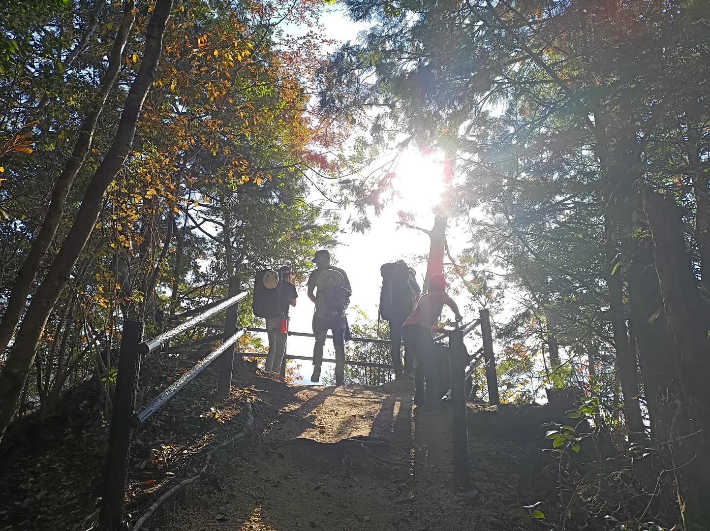 三倉岳 クライミング / suzuさんの三倉岳・瓦小屋山の活動データ | YAMAP / ヤマップ