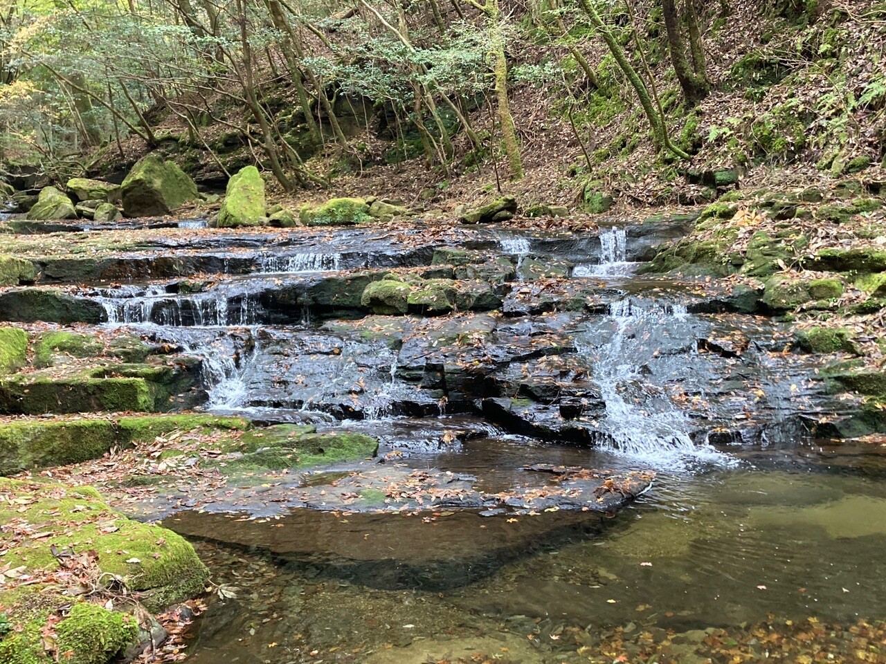 赤目四十八滝🍁→長坂山 / kaz330さんの長坂山・赤目四十八滝の活動データ | YAMAP / ヤマップ