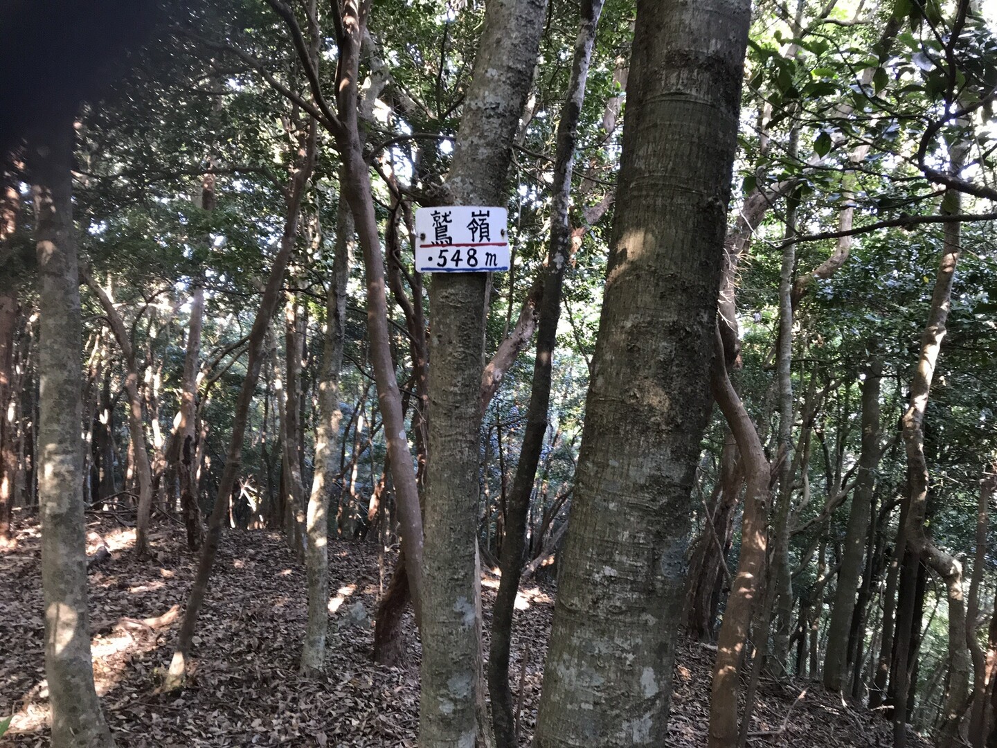 10/31鷲嶺 11/3鳥羽樋ノ山 / issanさんの牛草山・神岳の活動データ | YAMAP / ヤマップ