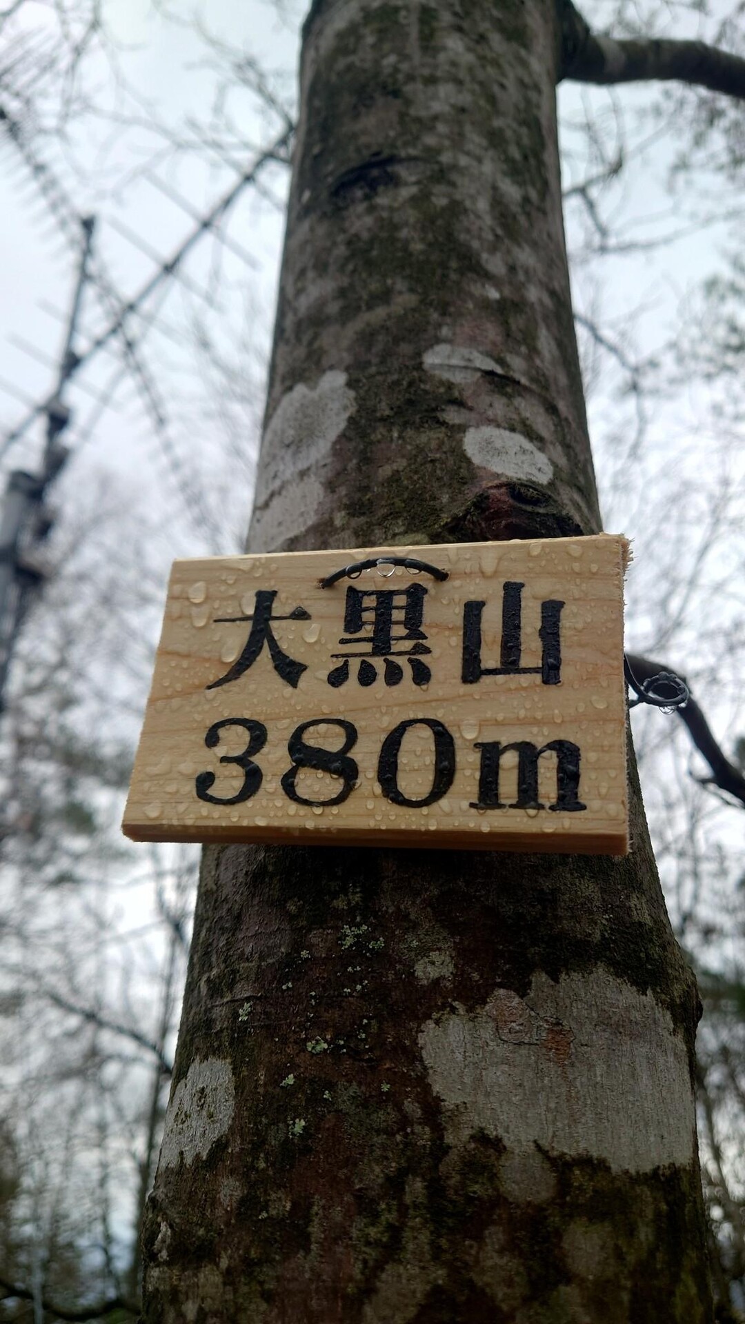 大黒山・ボンハタ / ゆき♡ママさんの飯盛山の活動データ | YAMAP / ヤマップ