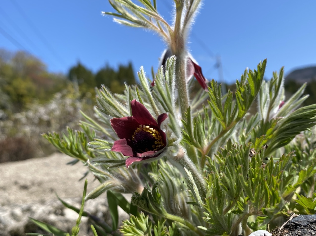 kyoh-co55のページ | YAMAP / ヤマップ