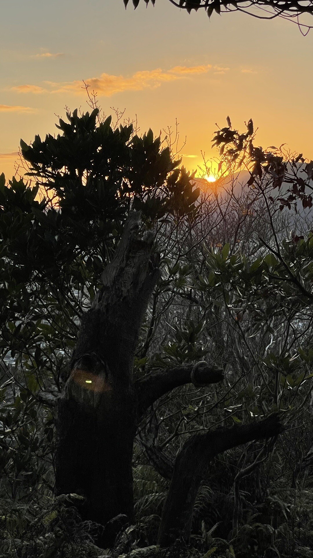 2022明けましておめでとうございます㊗... / やかんさんのモーメント | YAMAP / ヤマップ