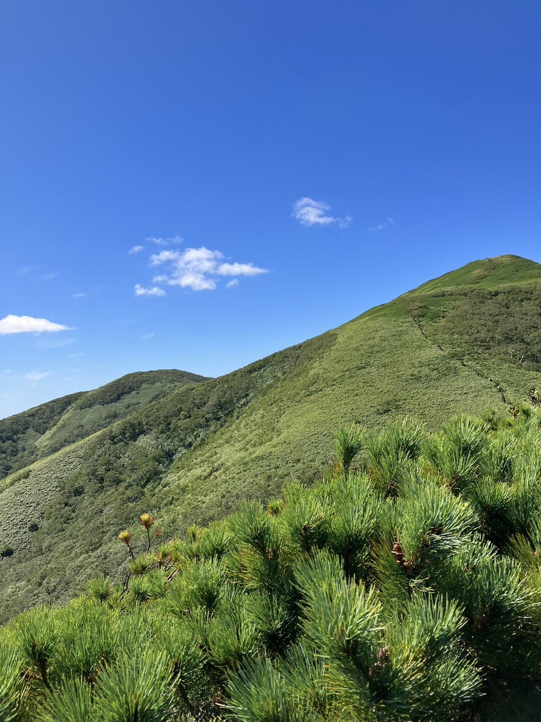 礼文岳 予想GUYの好天候 2022-09-03 / ゆうさんの礼文島の活動データ | YAMAP / ヤマップ