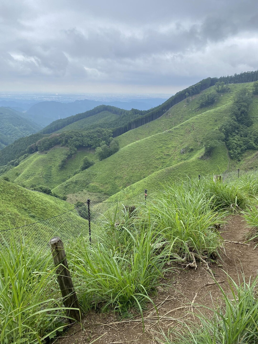 高水山・岩茸石山・馬仏山・惣岳山 / iwas@kiさんの高水山・岩茸石山・惣岳山の活動データ | YAMAP / ヤマップ
