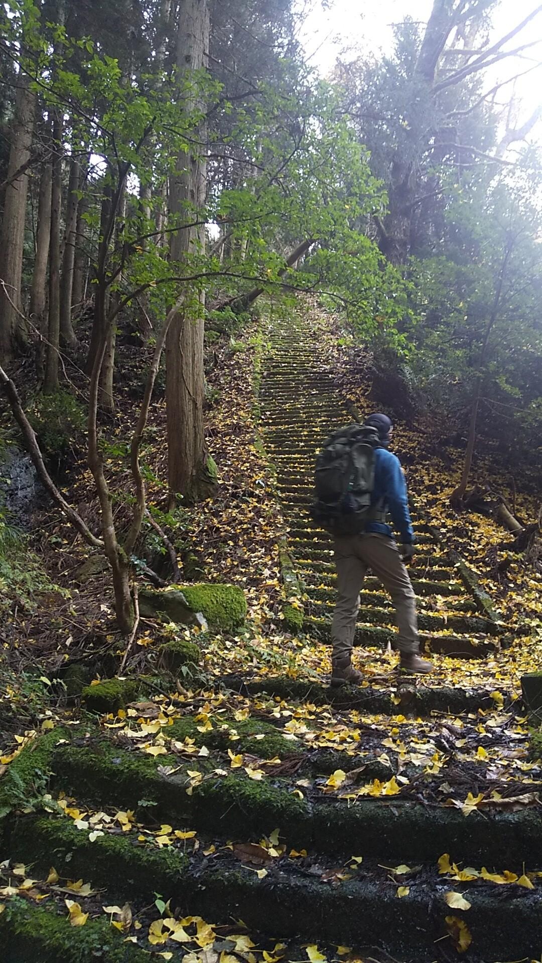荒倉山🍁晩秋ハイキング / minoさんの高館山・荒倉山の活動データ | YAMAP / ヤマップ