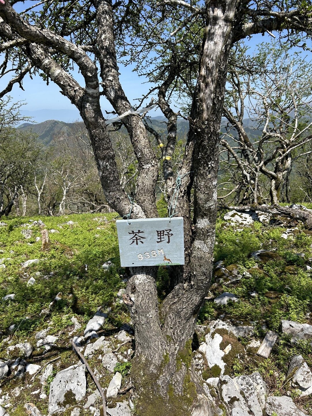 茶野🦌鈴ヶ岳 / wakki41さんの藤原岳・御池岳の活動データ | YAMAP / ヤマップ