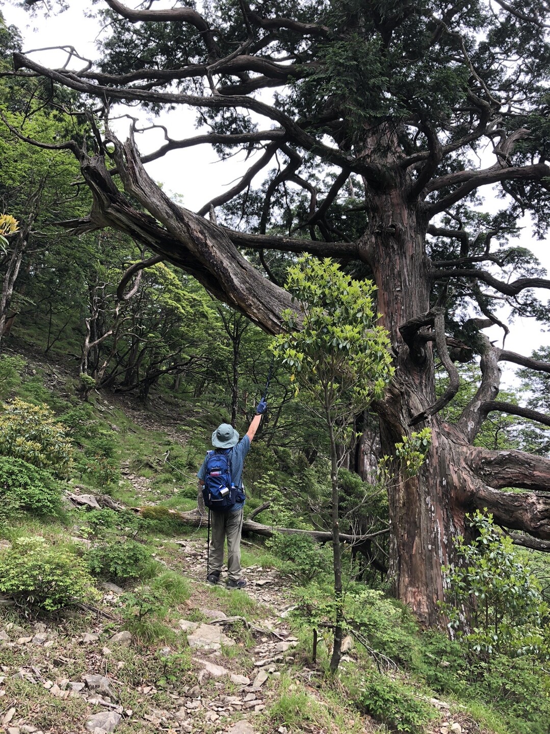 篠山 / ta3netさんの篠山の活動データ | YAMAP / ヤマップ