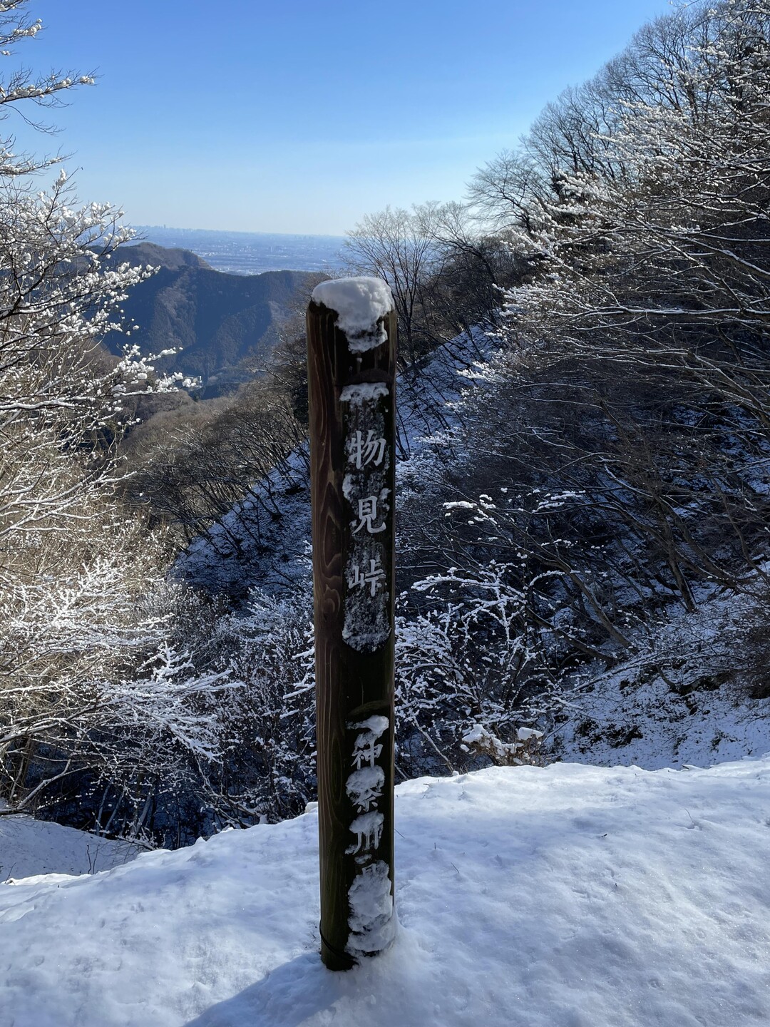 煤ヶ谷バス停～ 三峰山(大山三峰山)・物見峠・七沢山 周回 / asuさんの大山の活動データ | YAMAP / ヤマップ