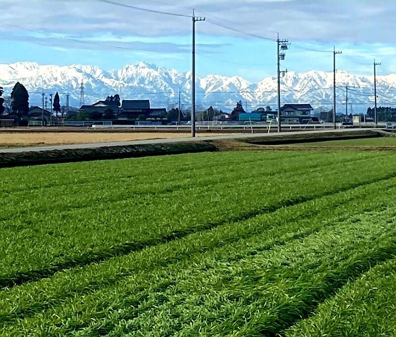 富山の義弟が今年は雪が少ないと写真を送っ... / Heroさんのモーメント | YAMAP / ヤマップ