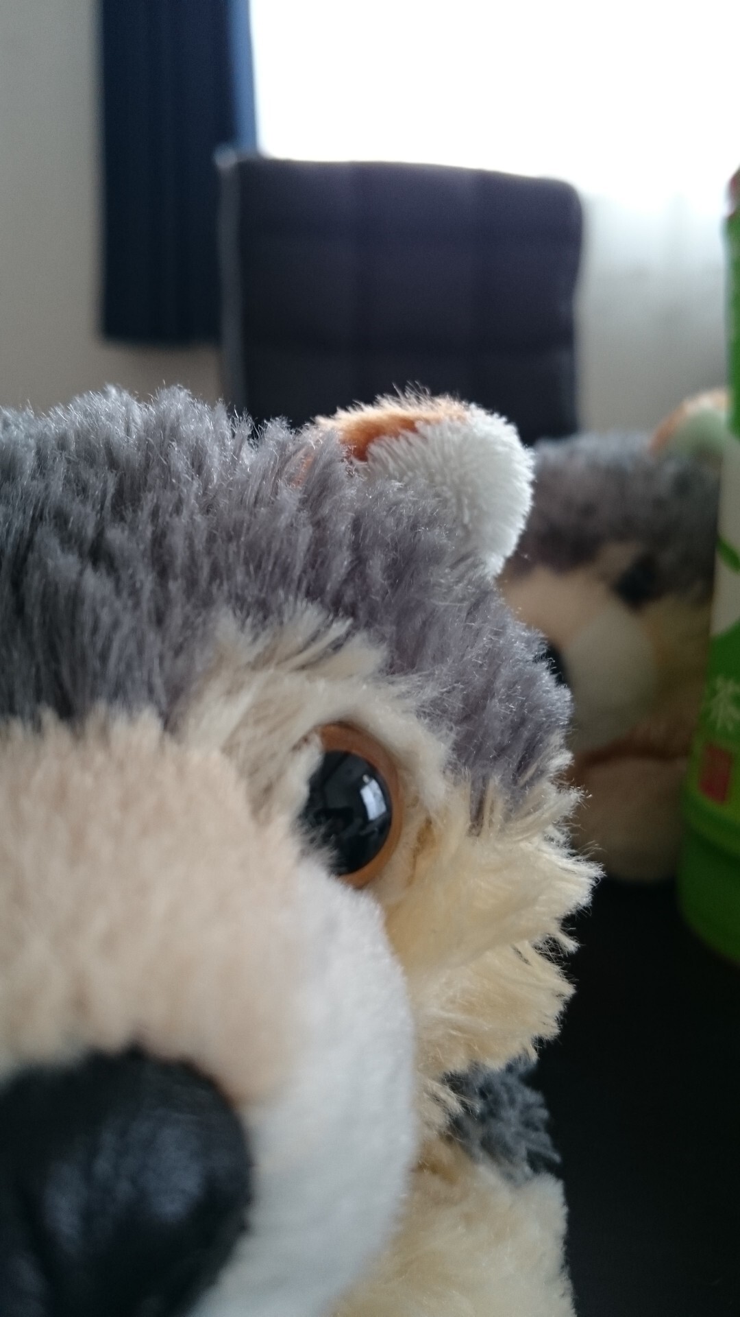 rabbitのページ | YAMAP / ヤマップ