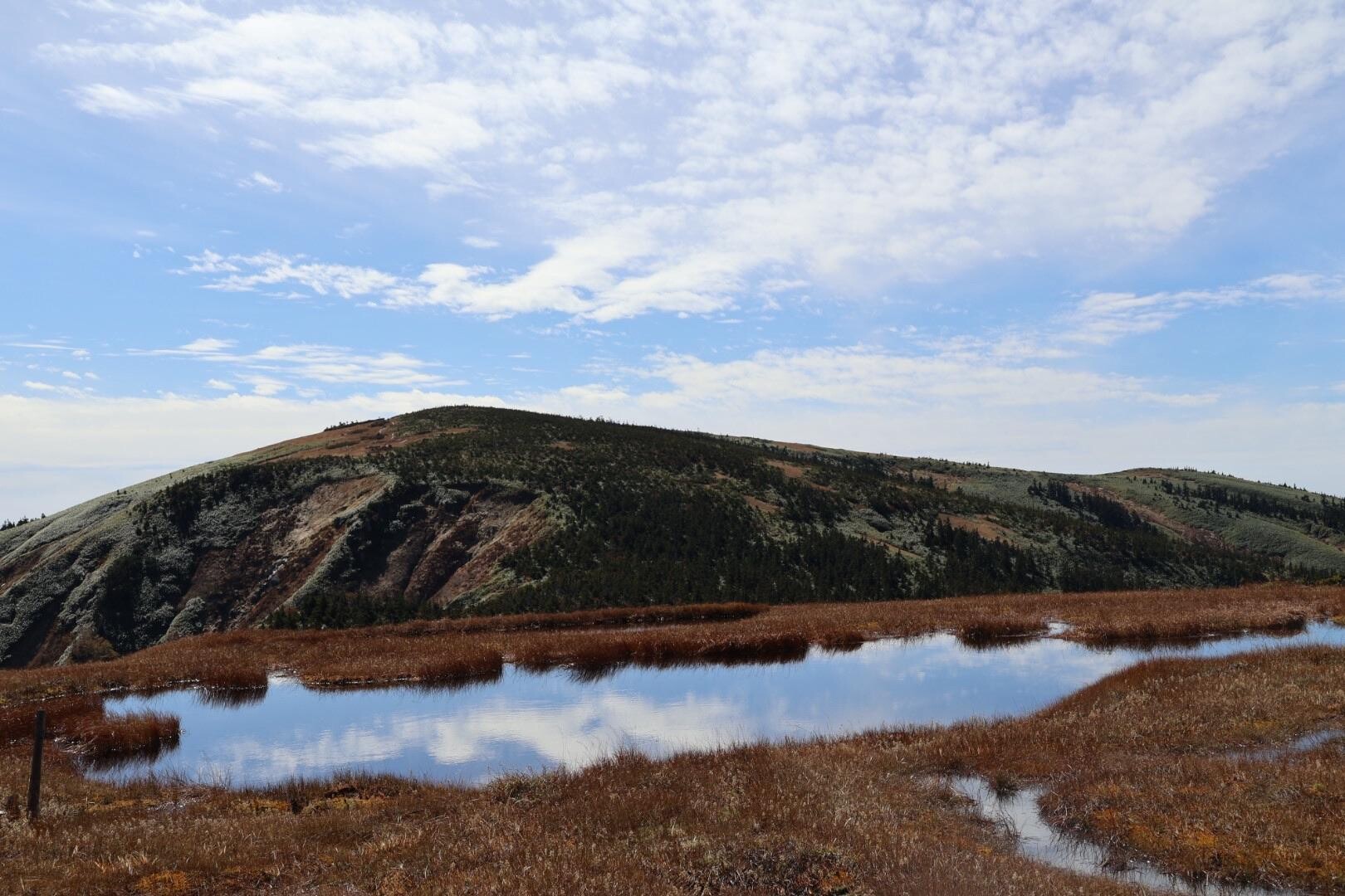 平ヶ岳 鷹ノ巣ルート / yuki yamaさんの平ヶ岳・台倉山・池ノ岳の活動データ | YAMAP / ヤマップ