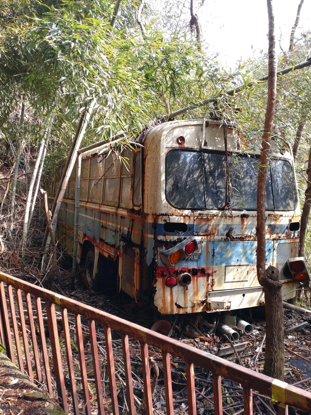 天竺（天竺台山）・谷山 / emu626さんの雁飛山の活動データ | YAMAP / ヤマップ