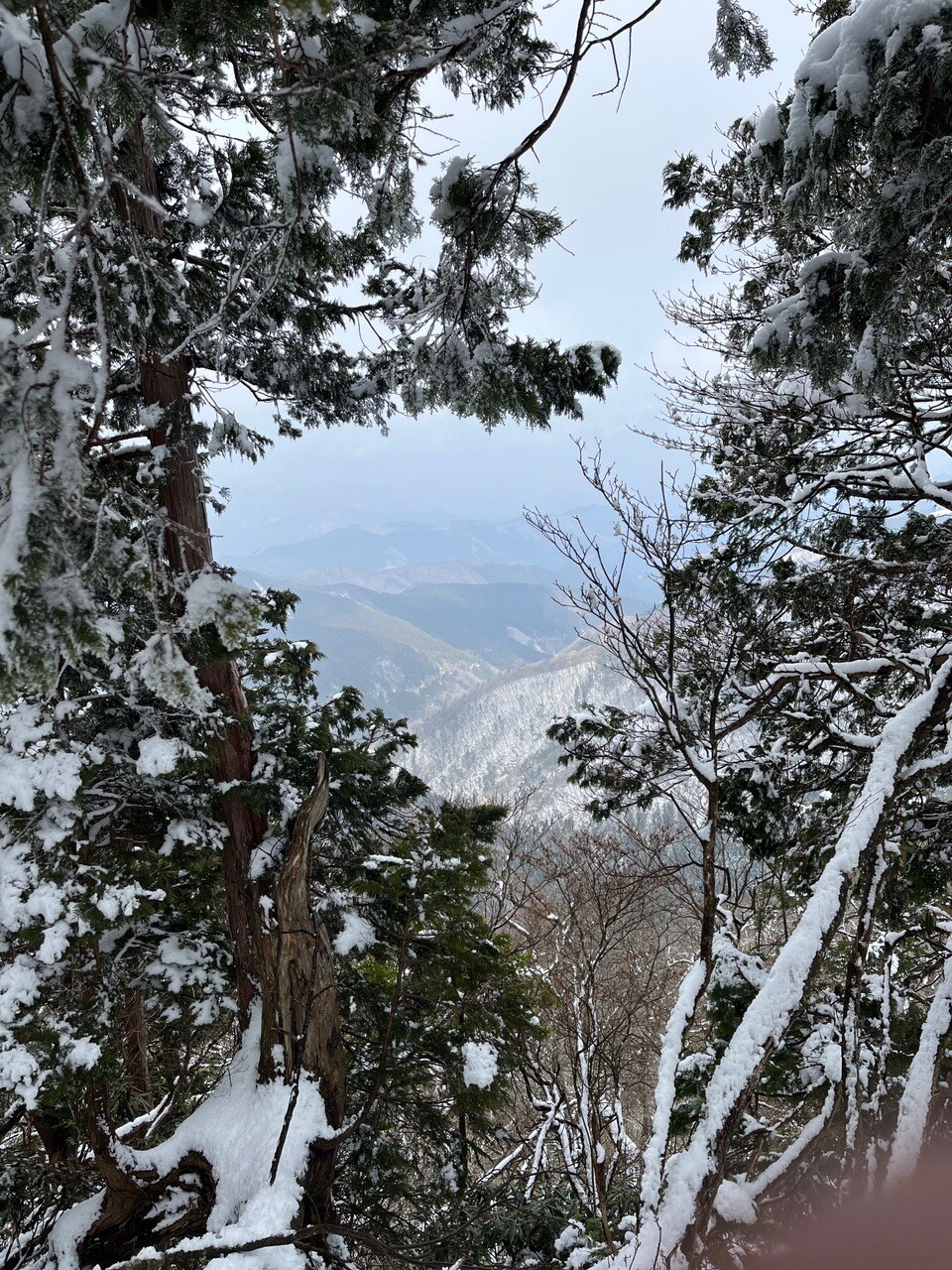 sinnさんの投稿したフィールドメモ | YAMAP / ヤマップ