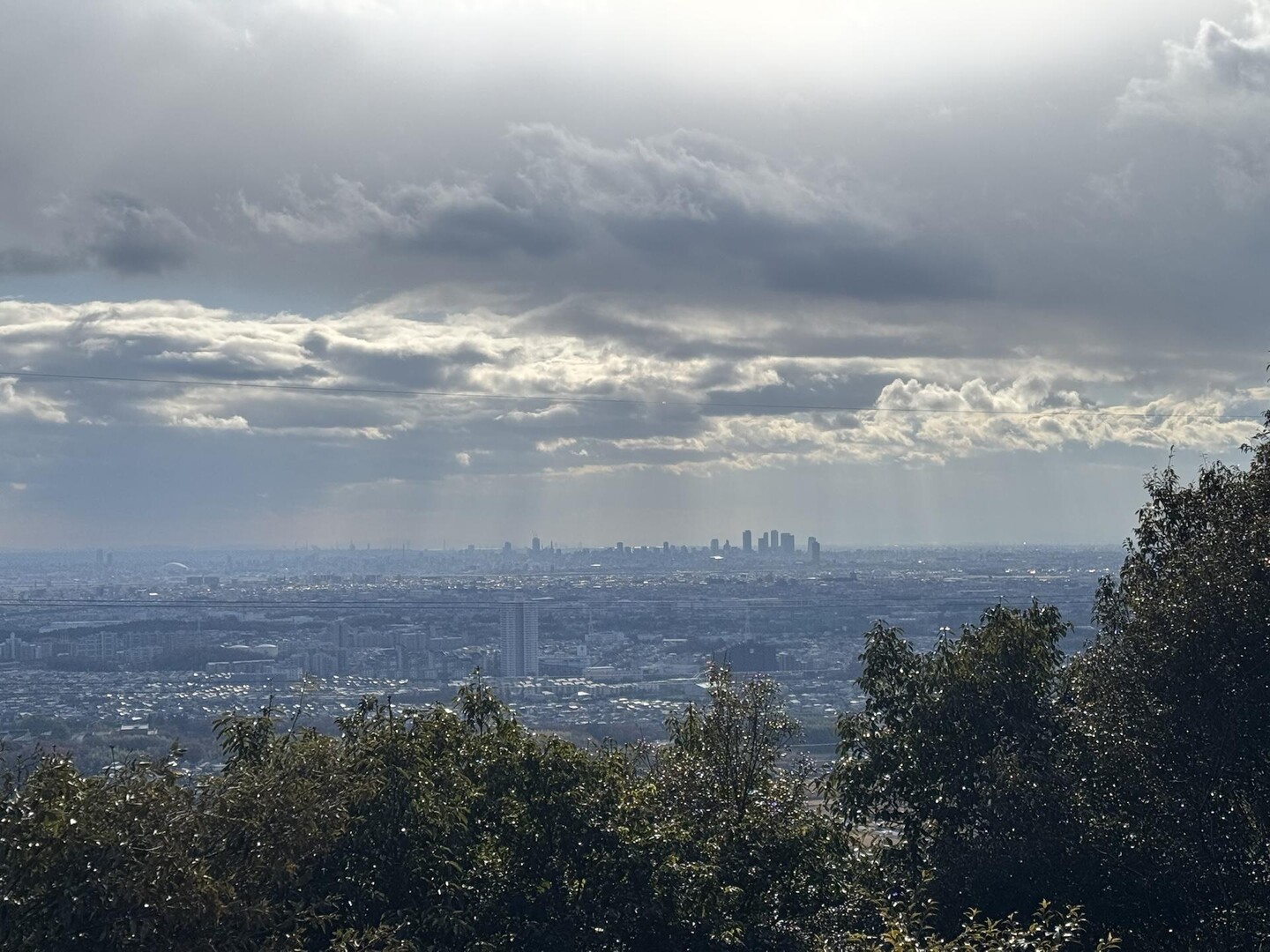 本堂ヶ峰・西山・尾張白山 / lucky.momさんの尾張富士・尾張本宮山・尾張白山の活動データ | YAMAP / ヤマップ