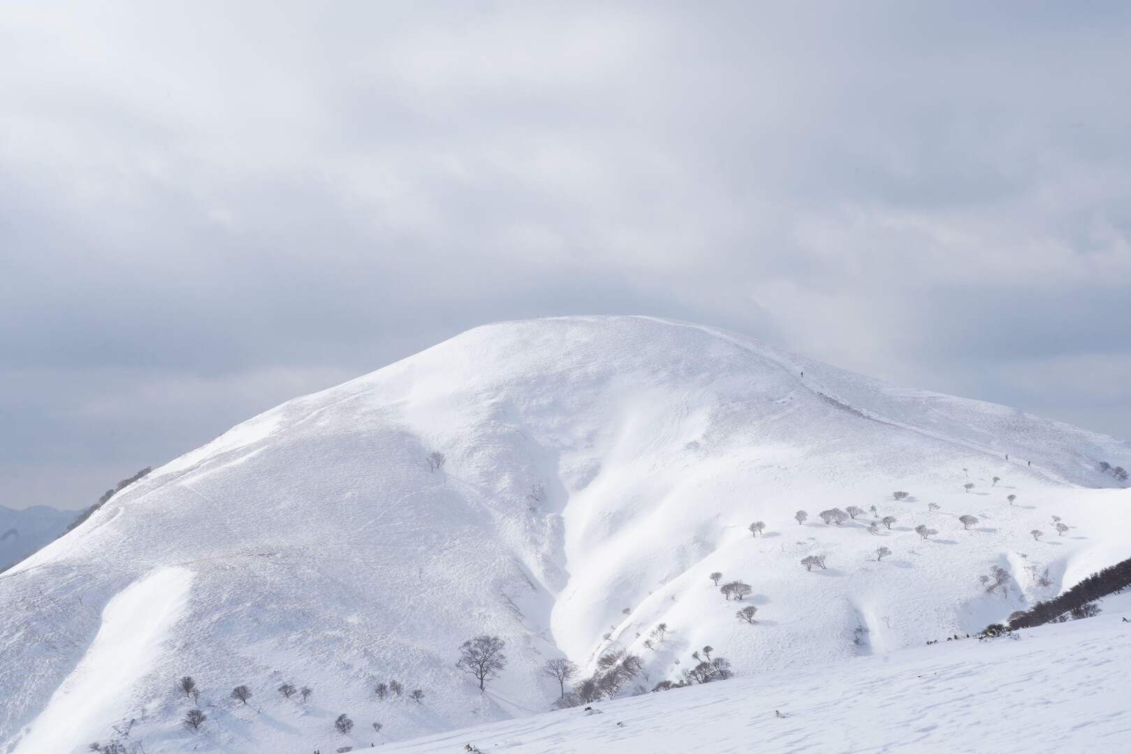 白竜現る＠竜ヶ岳(鈴鹿山脈) / podoryさんの竜ヶ岳の活動データ | YAMAP / ヤマップ