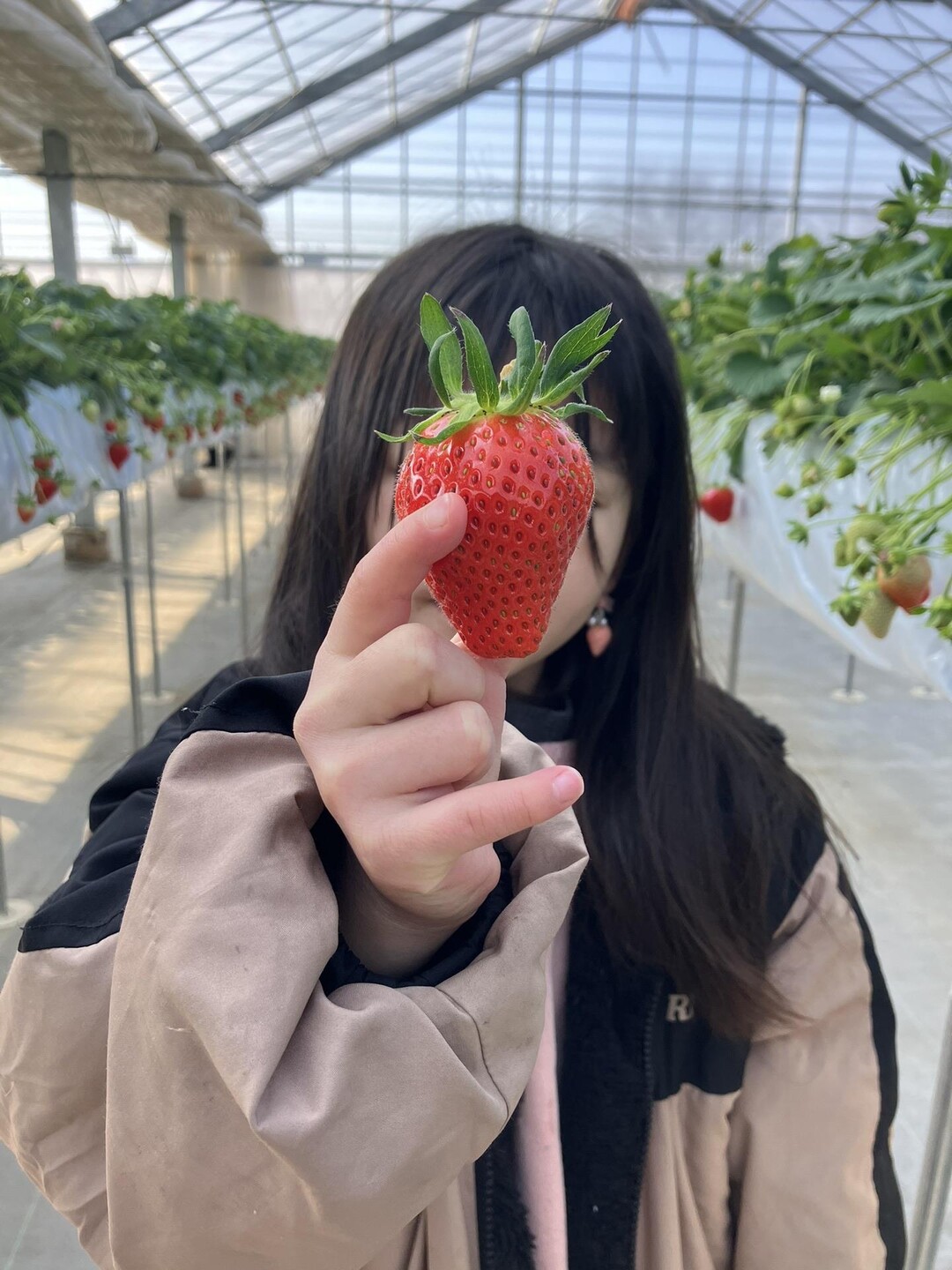 自宅近くで家族でイチゴ狩り🍓 みんなお... / tenpiさんのモーメント | YAMAP / ヤマップ
