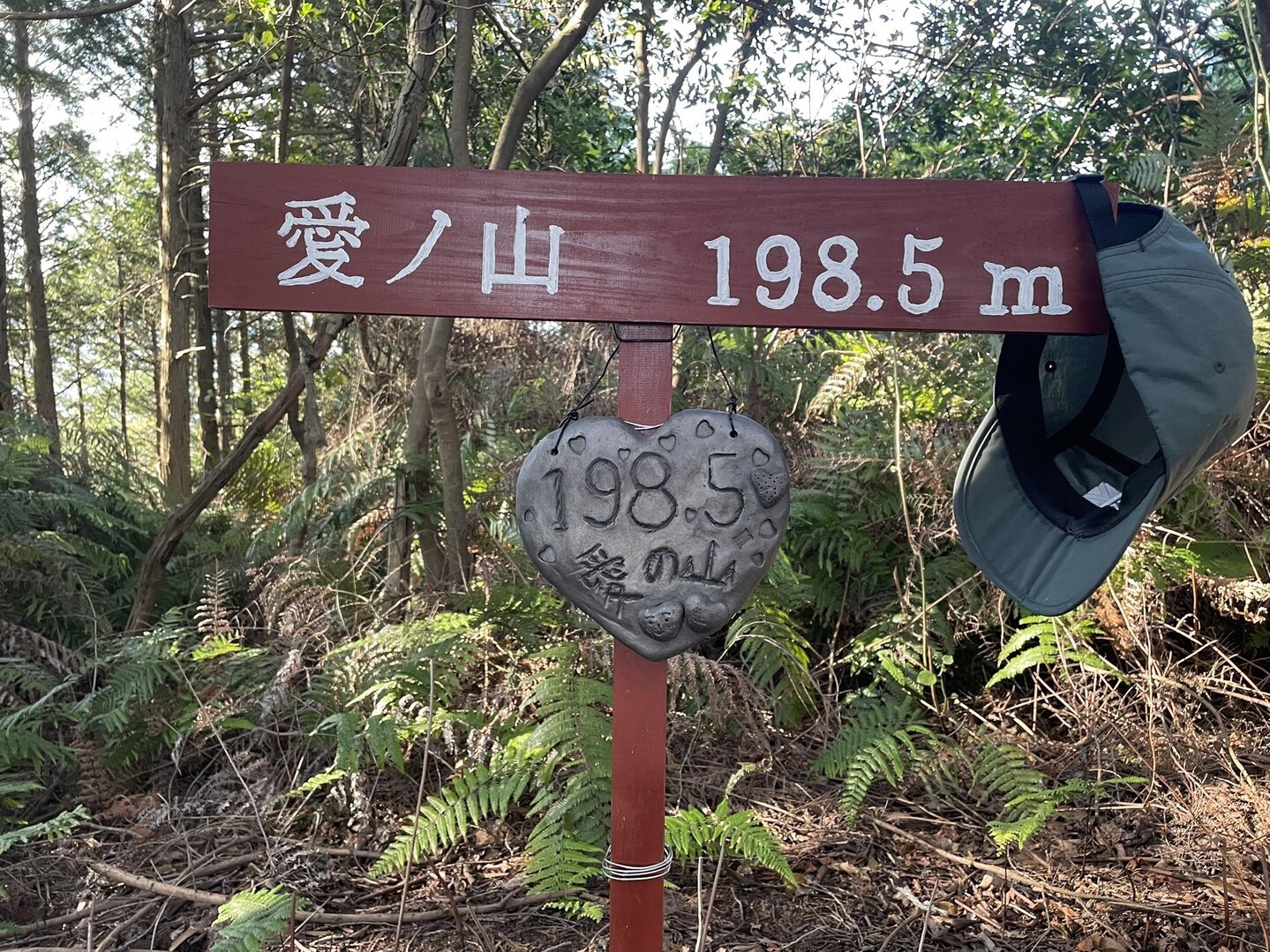 愛ノ山 / MABOさんの西条市の活動データ | YAMAP / ヤマップ