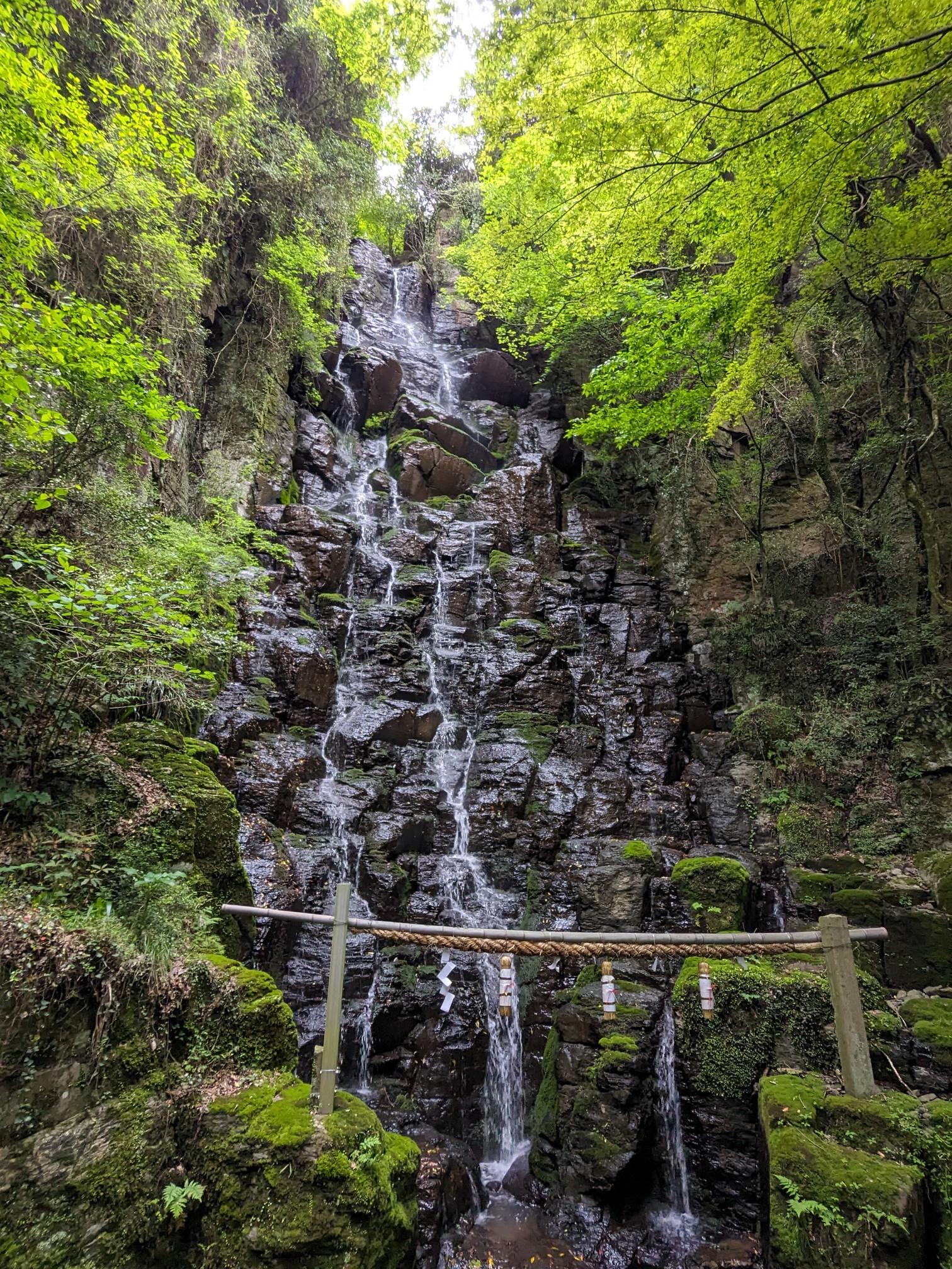 城山 / h3さんの坂出市の活動データ | YAMAP / ヤマップ