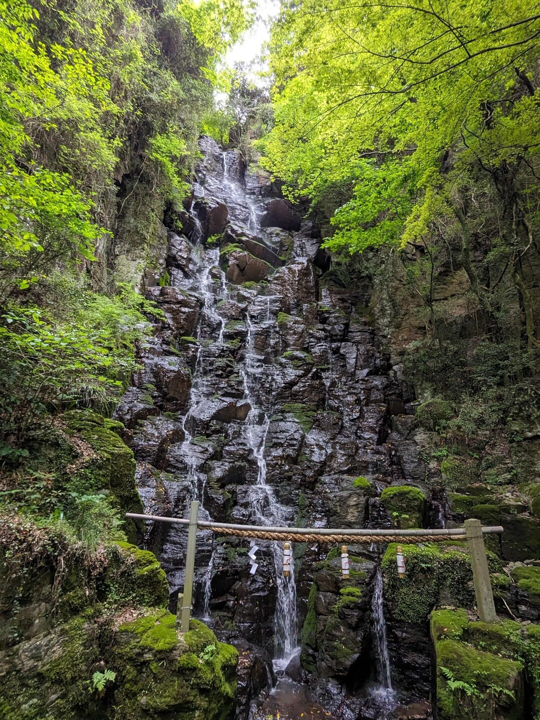 城山 / h3さんの坂出市の活動データ | YAMAP / ヤマップ