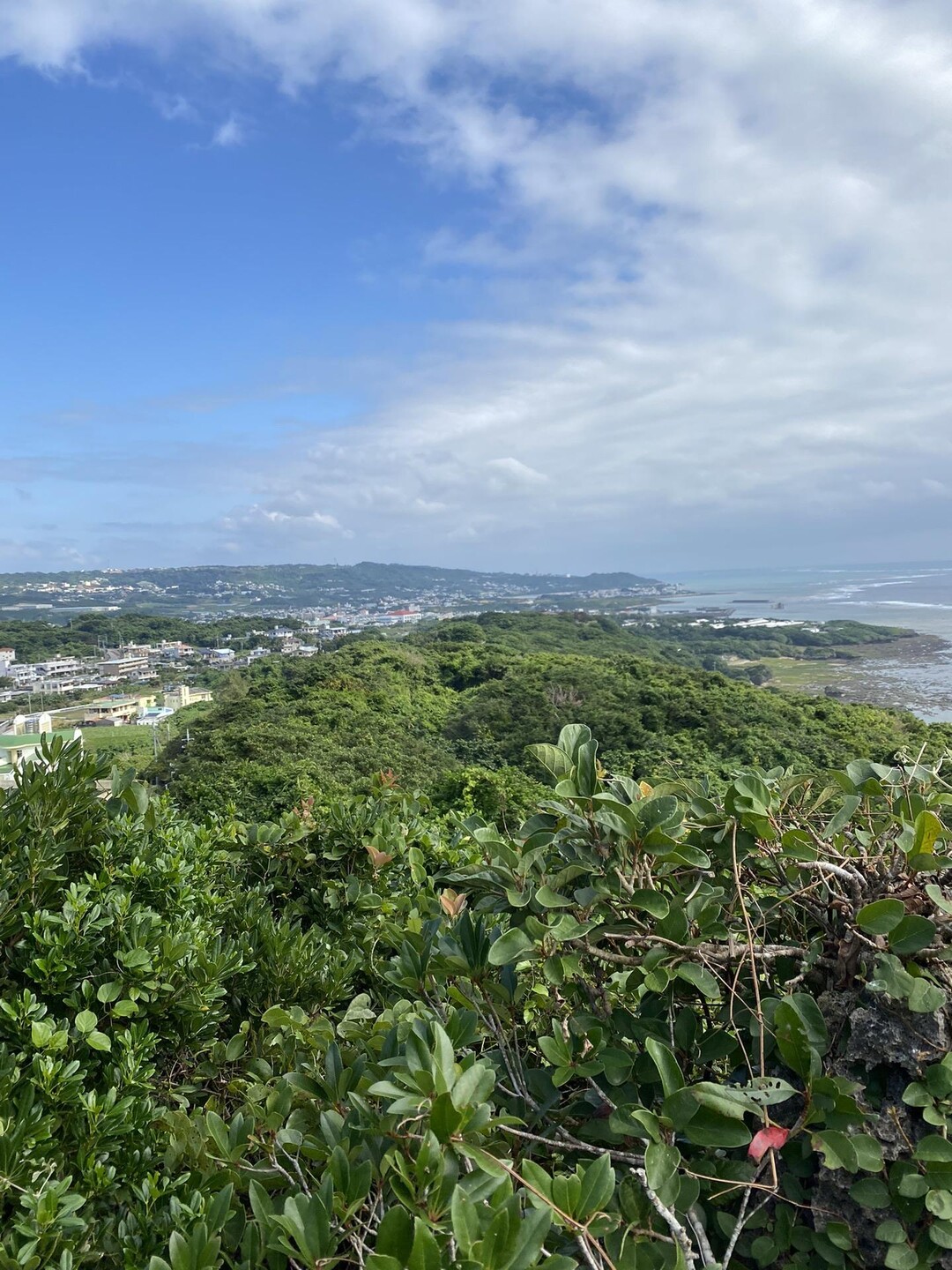 天空の絶景と地底の迷宮(沖縄八重町) / chi-meroさんのウォーキングの活動データ | YAMAP / ヤマップ
