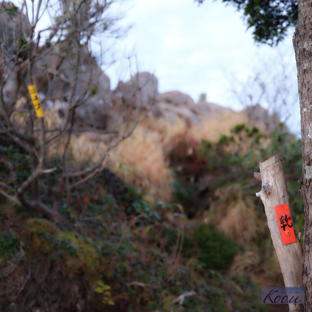 乳と天狗岳 / Koou.さんの八ヶ岳（赤岳・硫黄岳・天狗岳）の活動データ | YAMAP / ヤマップ