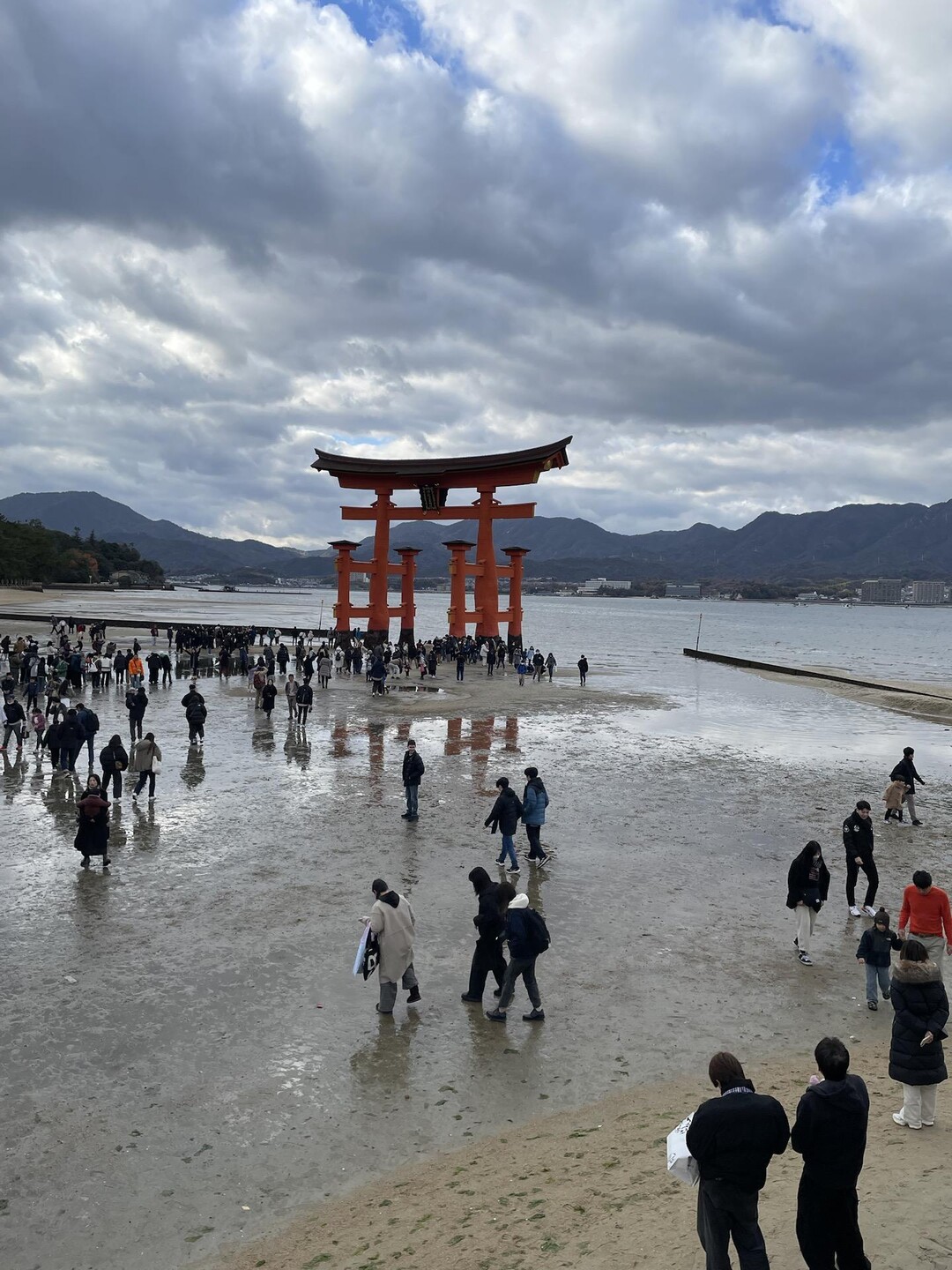 今年最後の宮島⛩️2024-12-29 / toshikoさんのウォーキングの活動日記 | YAMAP / ヤマップ