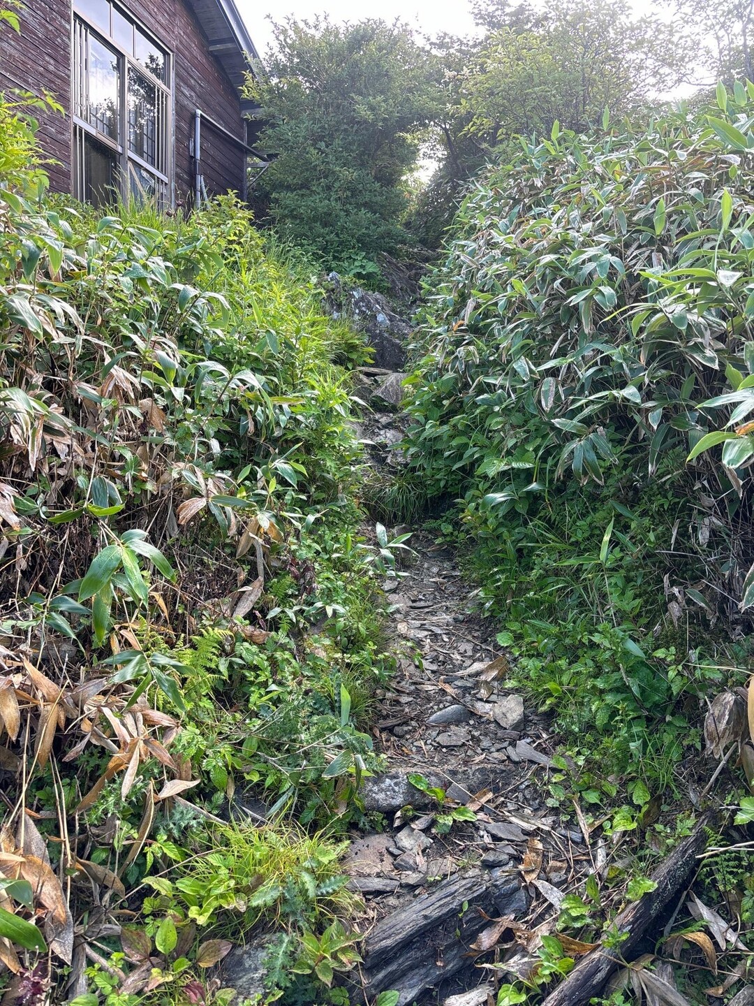 hello beakさんの投稿したフィールドメモ | YAMAP / ヤマップ